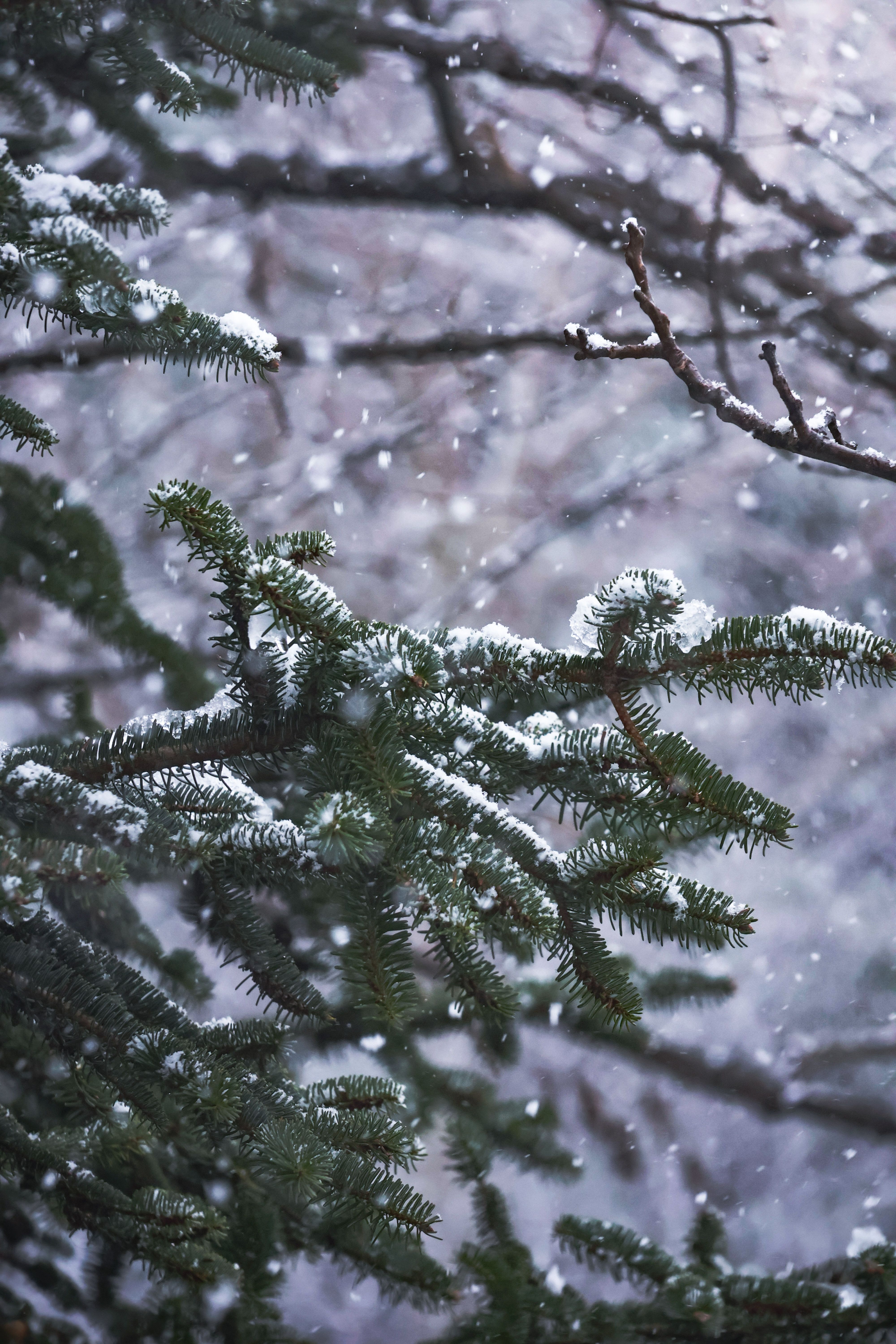 4k Wallpaper 27 Inch Monitor Photos, Download The BEST Free 4k ...
