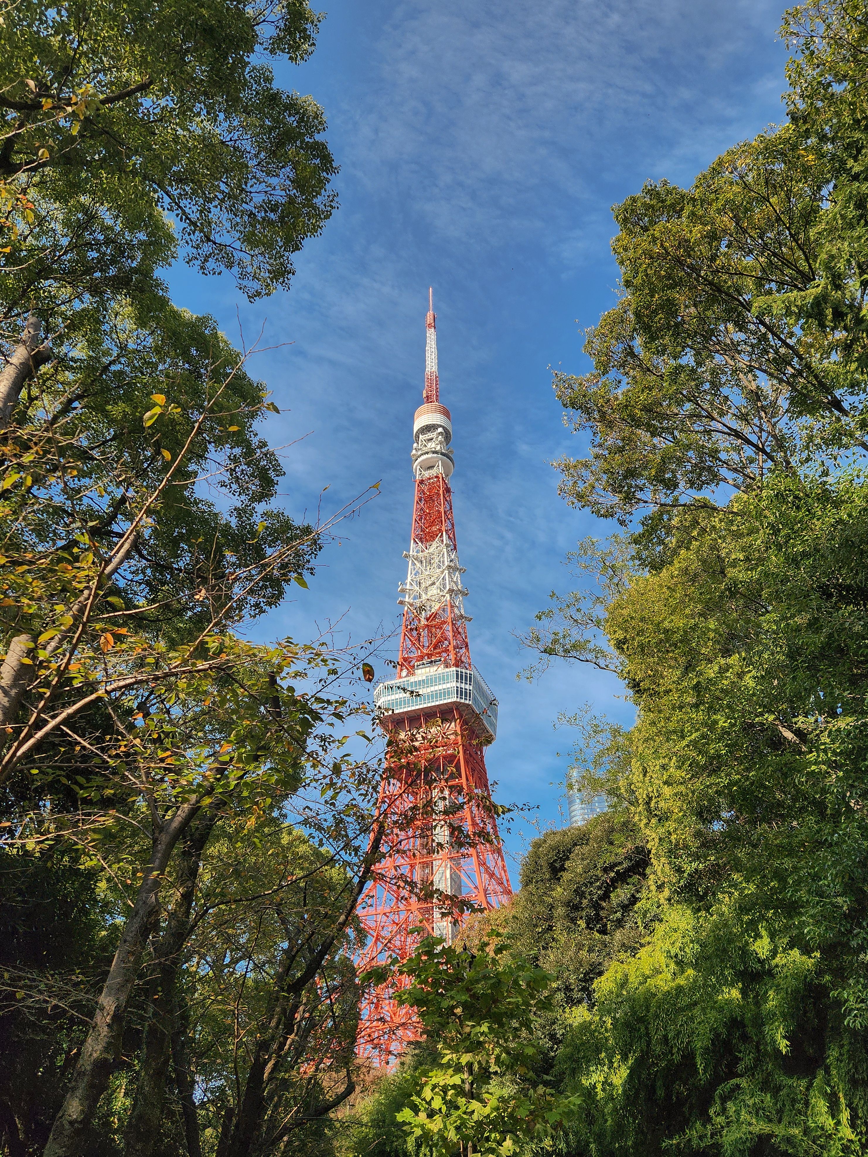 Tokyo Tower framed by lush greenery · Free Stock Photo