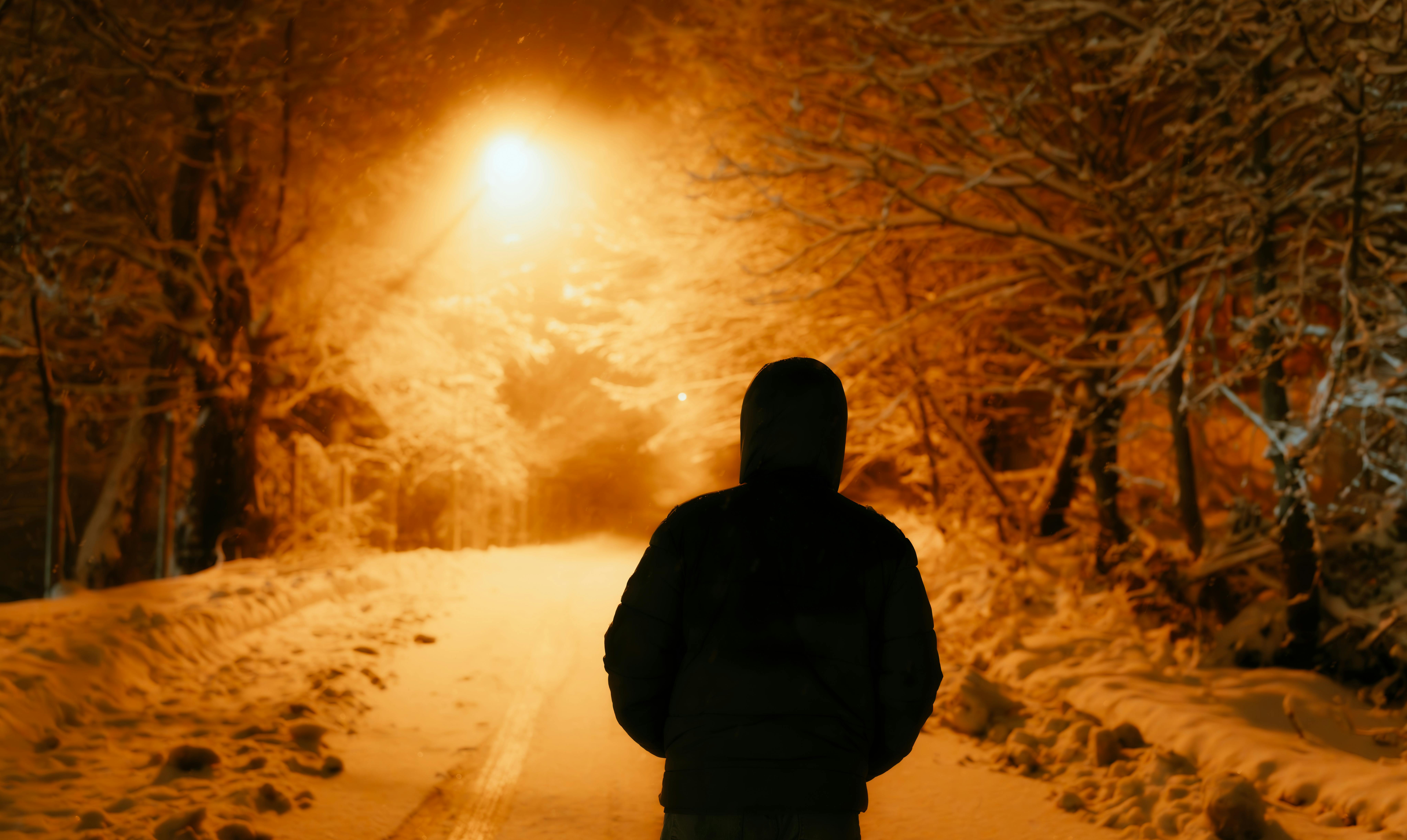 Solo Winter Night Walk in Snowy Forest · Free Stock Photo