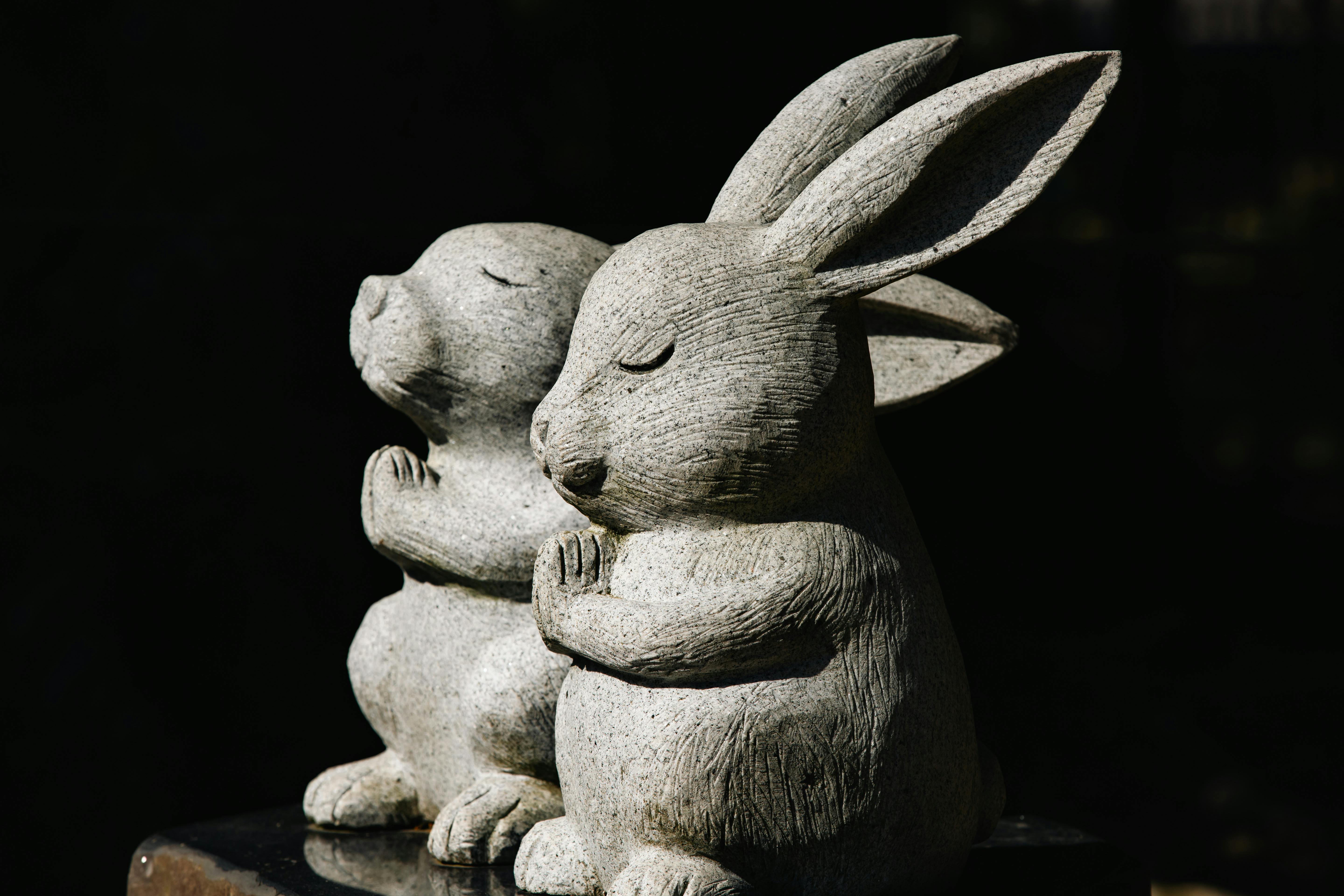 Stone Rabbit Sculptures in Prayer Pose at Izumo · Free Stock Photo