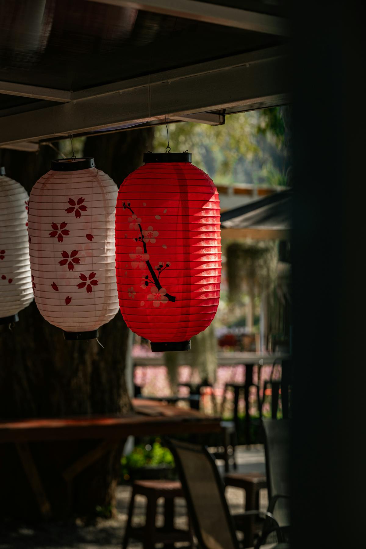 Free Image Of A Kite Photos, Download The BEST Free Free Image Of A ...