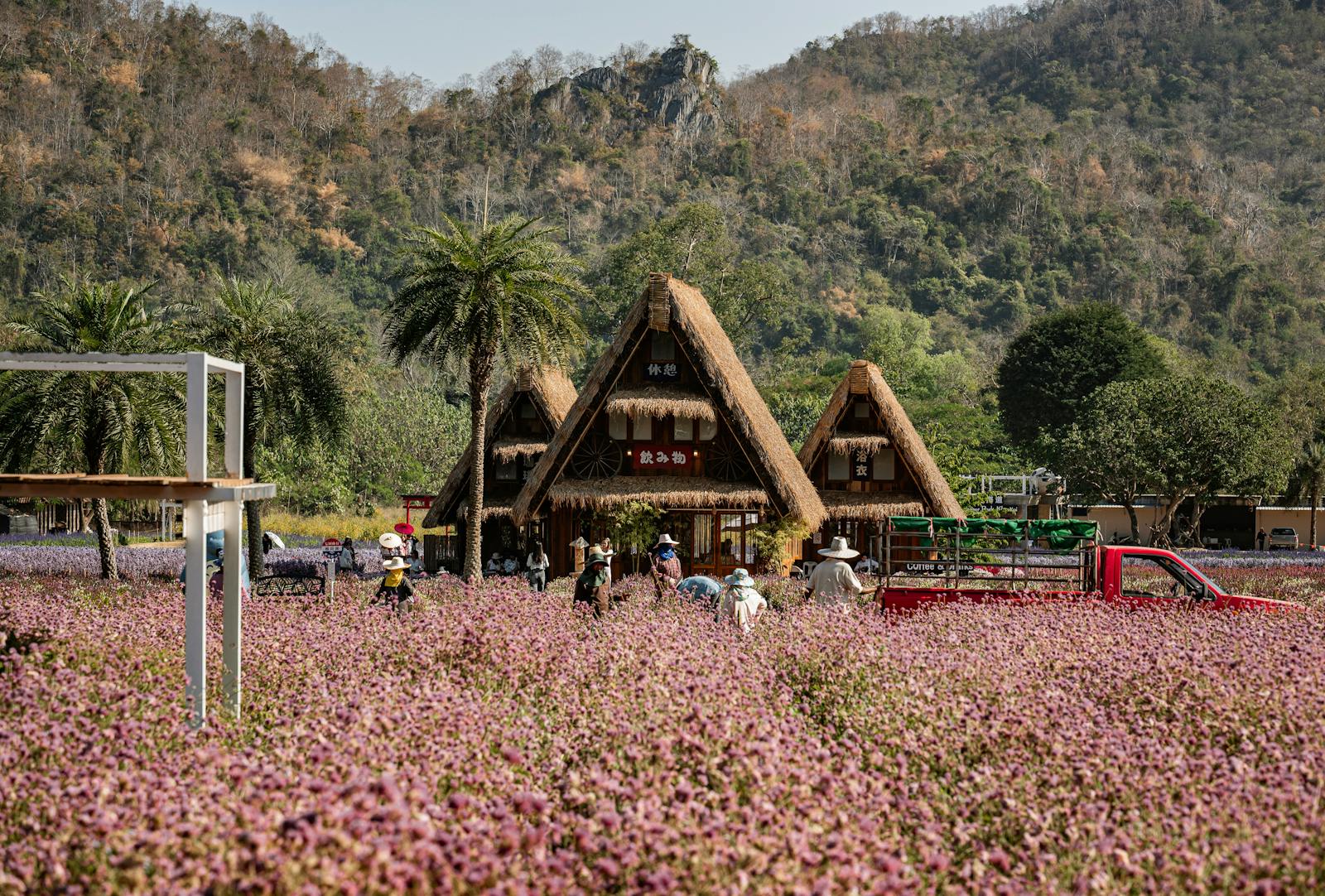 Free Compass Image Photos, Download The BEST Free Free Compass Image ...