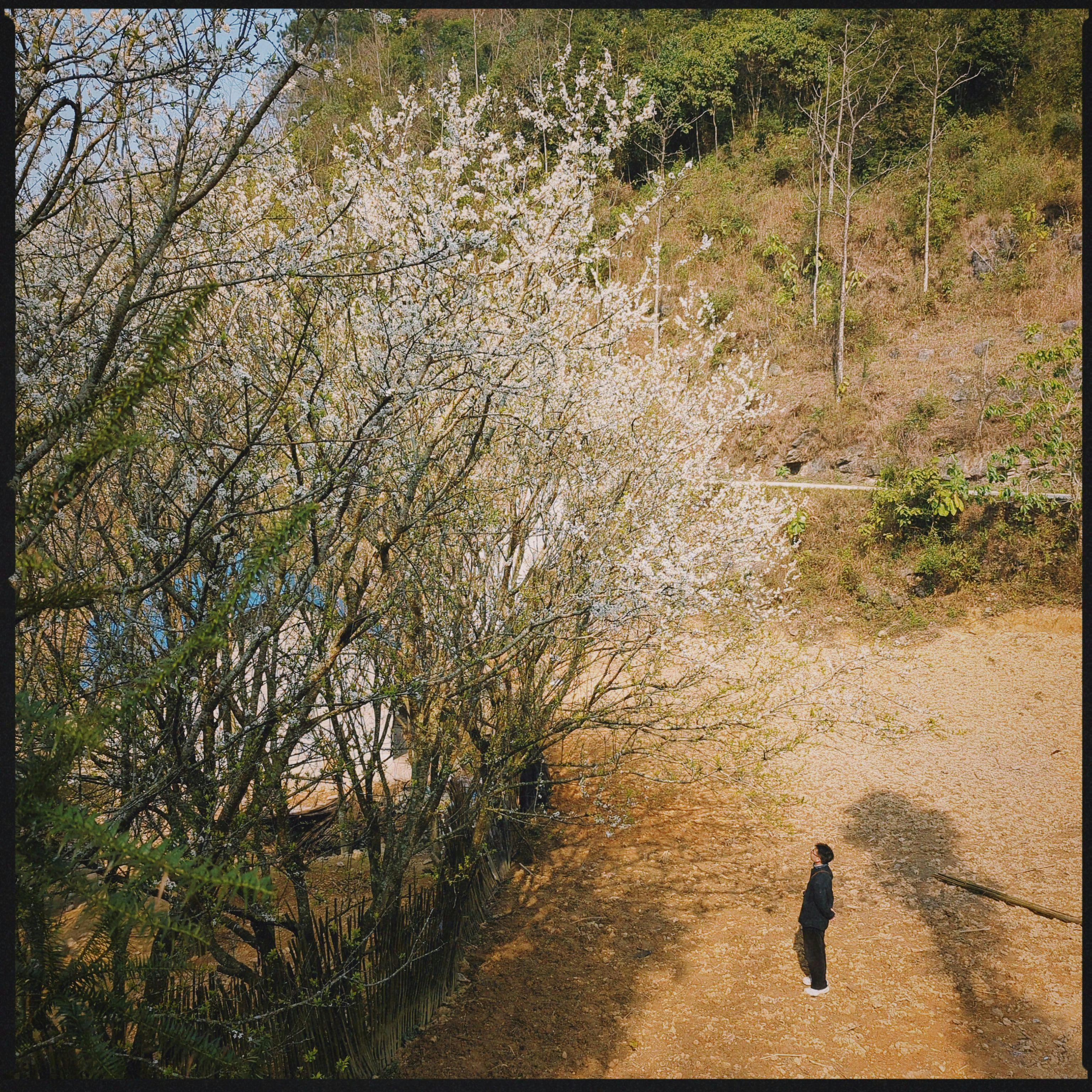 Spring Break Fights Photos, Download The BEST Free Spring Break Fights ...