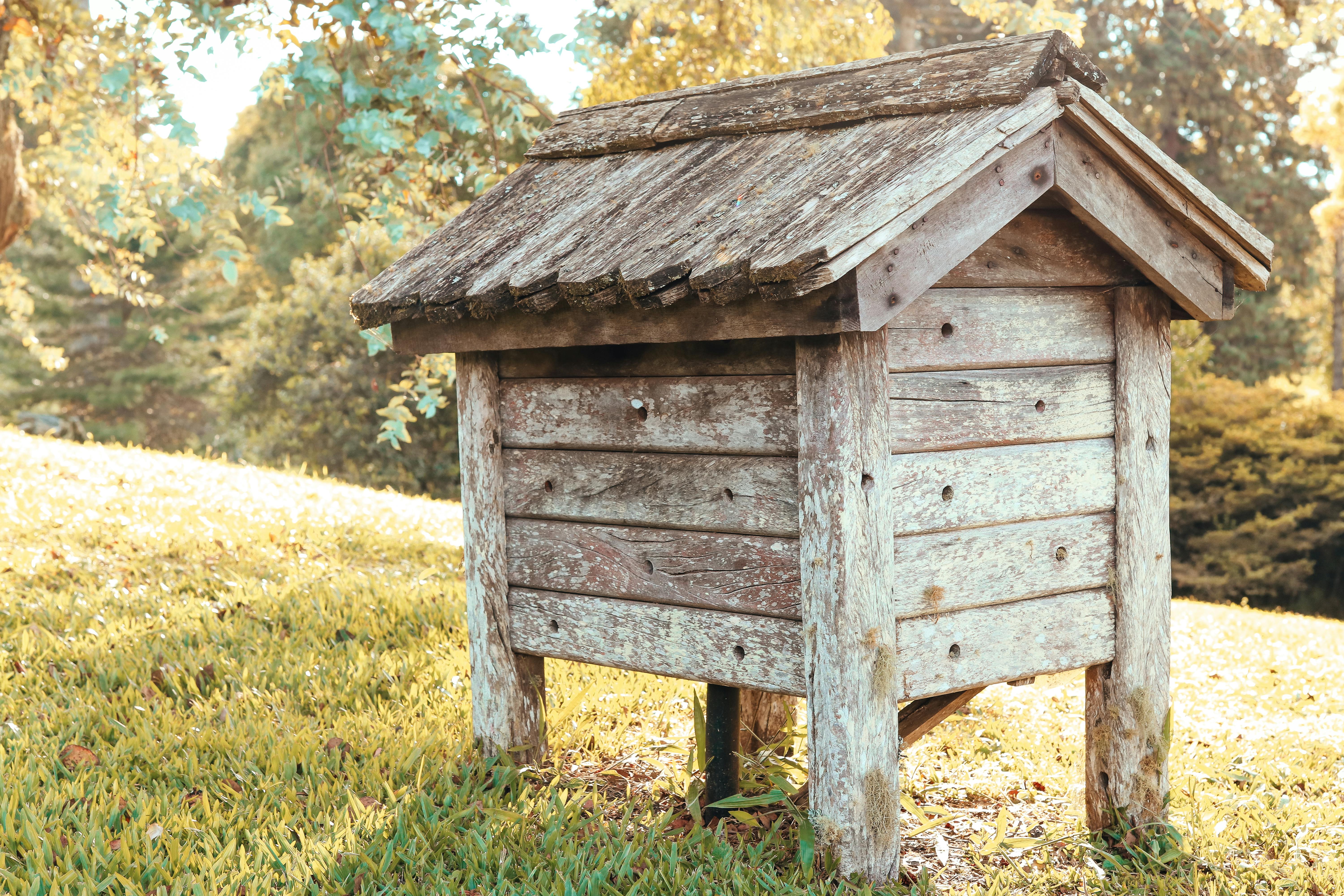 Rustic Wooden Beehive in Sunlit Forest Clearing · Free Stock Photo