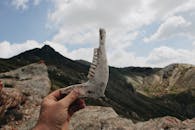 More 530 Remains Synonyms. Similar words for Remains.