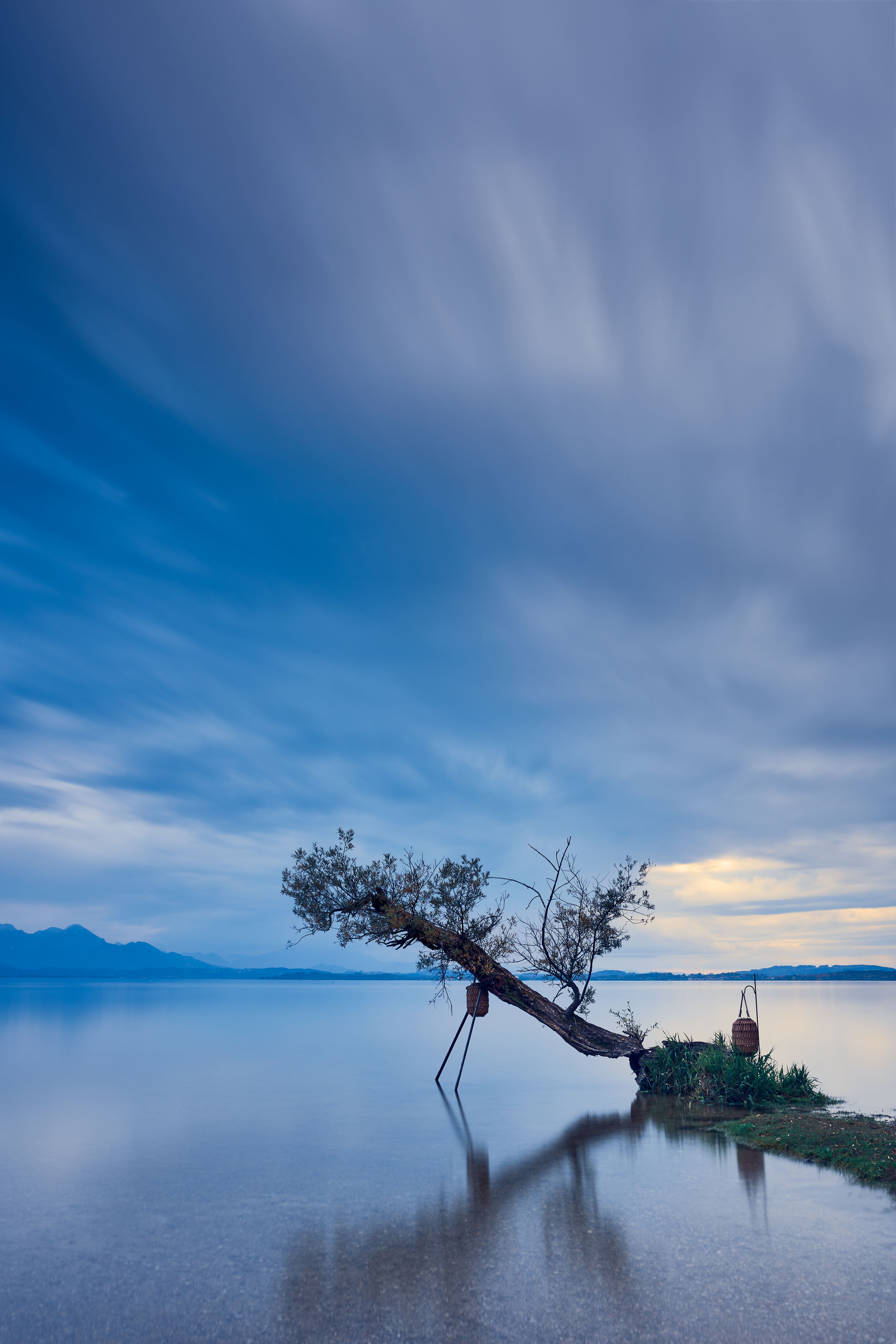 Tranquil Lake Scene with Leaning Tree in Bavaria · Free Stock Photo