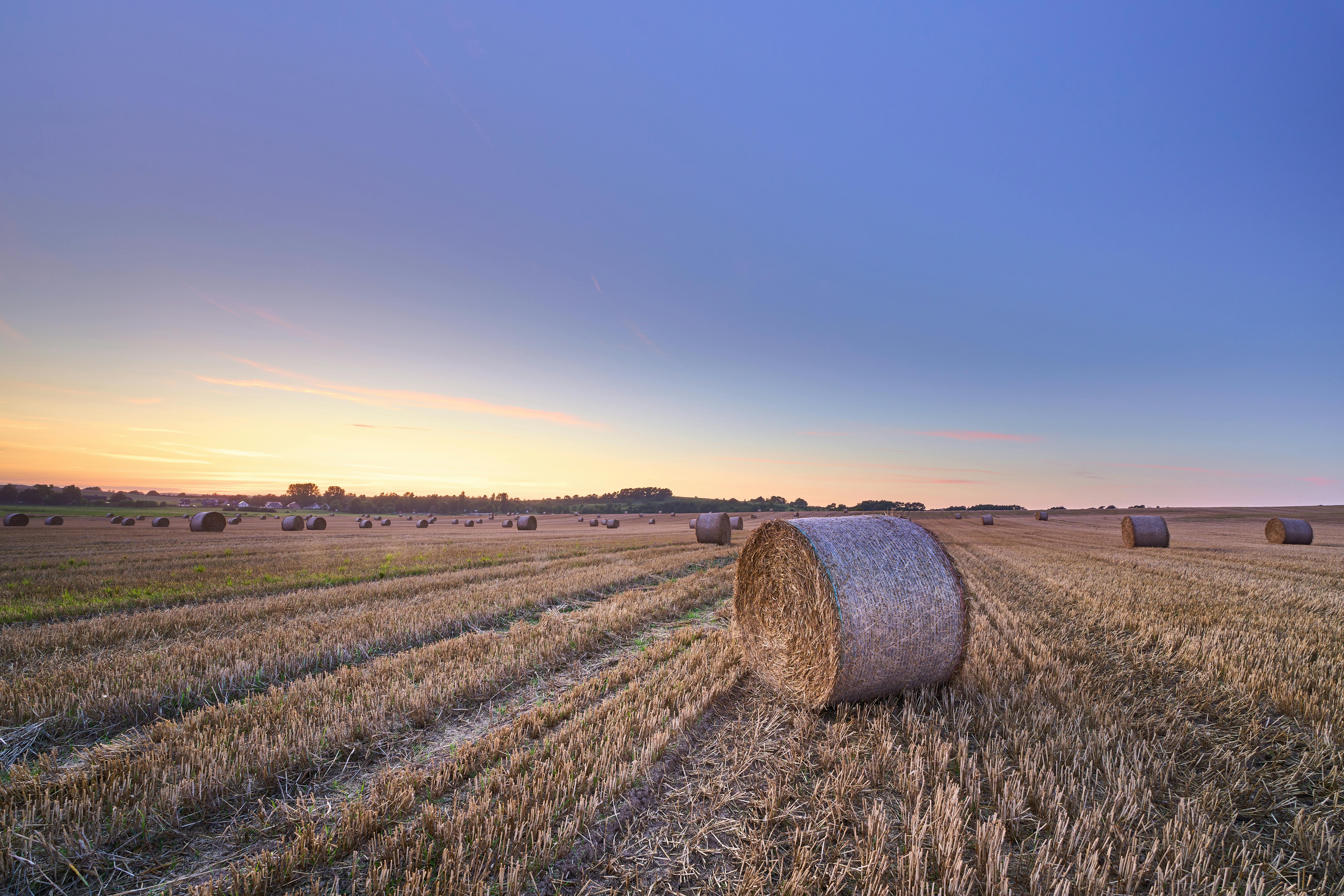 Hayfield During Sunset · Free Stock Photo