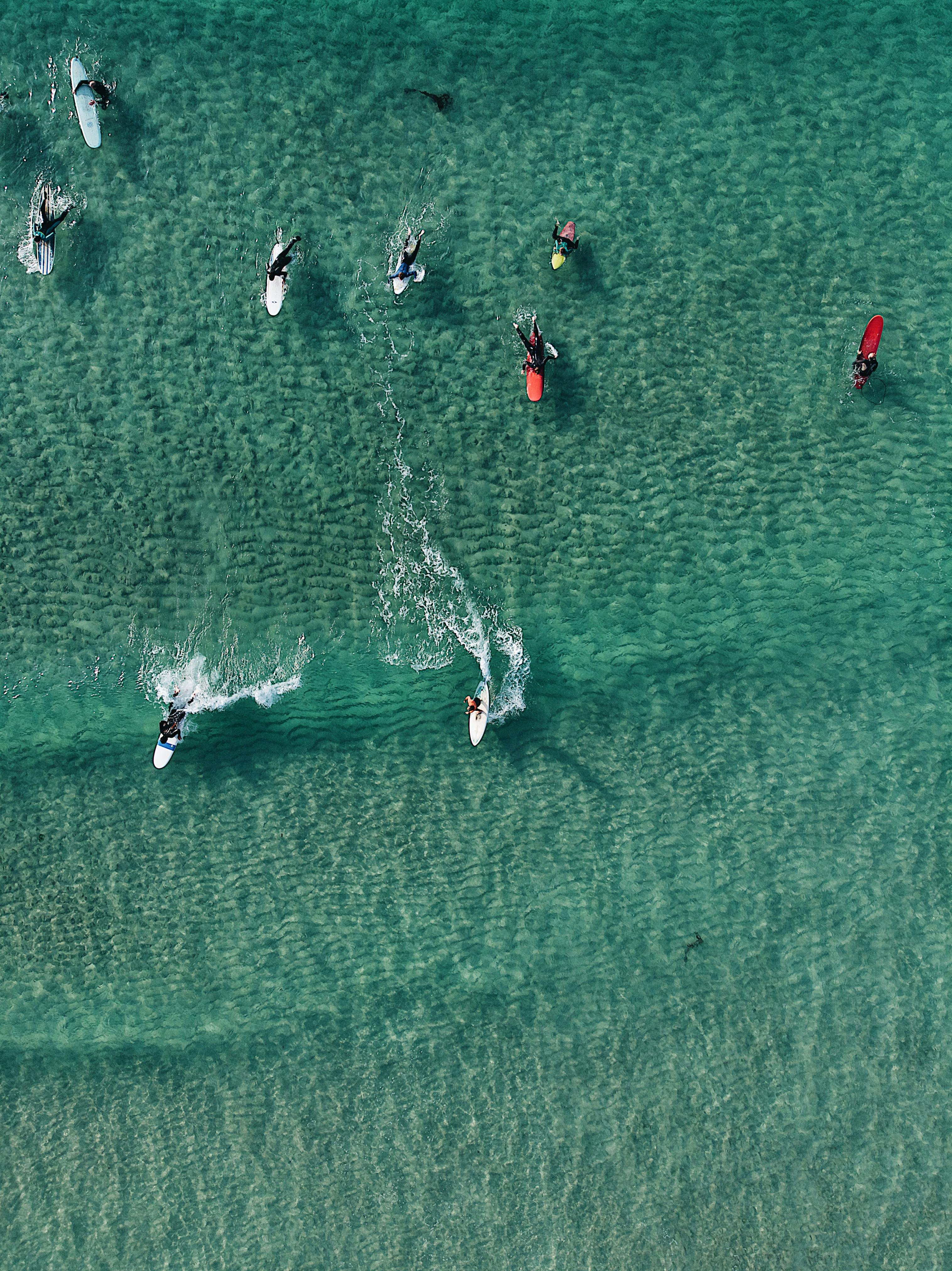 Top View Photo of People Surfboarding · Free Stock Photo