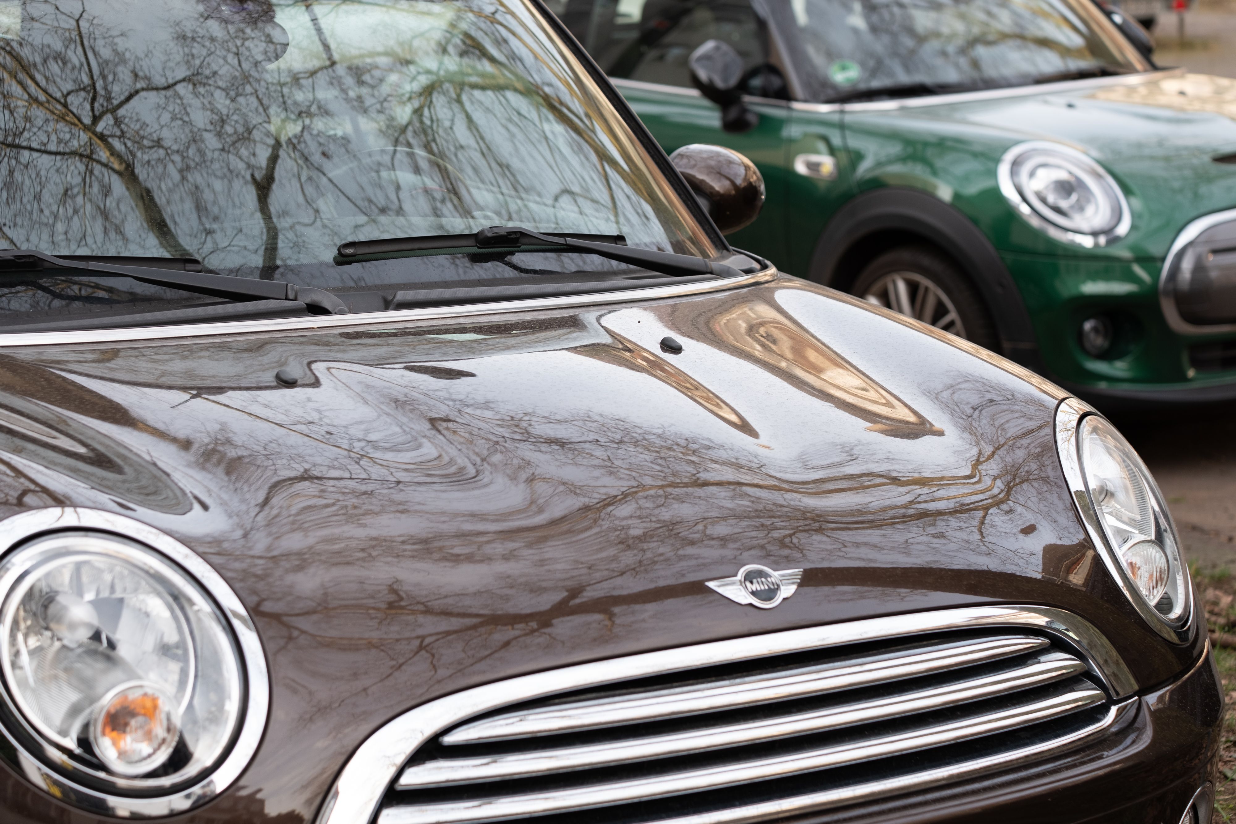 Shiny Mini Cooper Cars in Urban Setting · Free Stock Photo