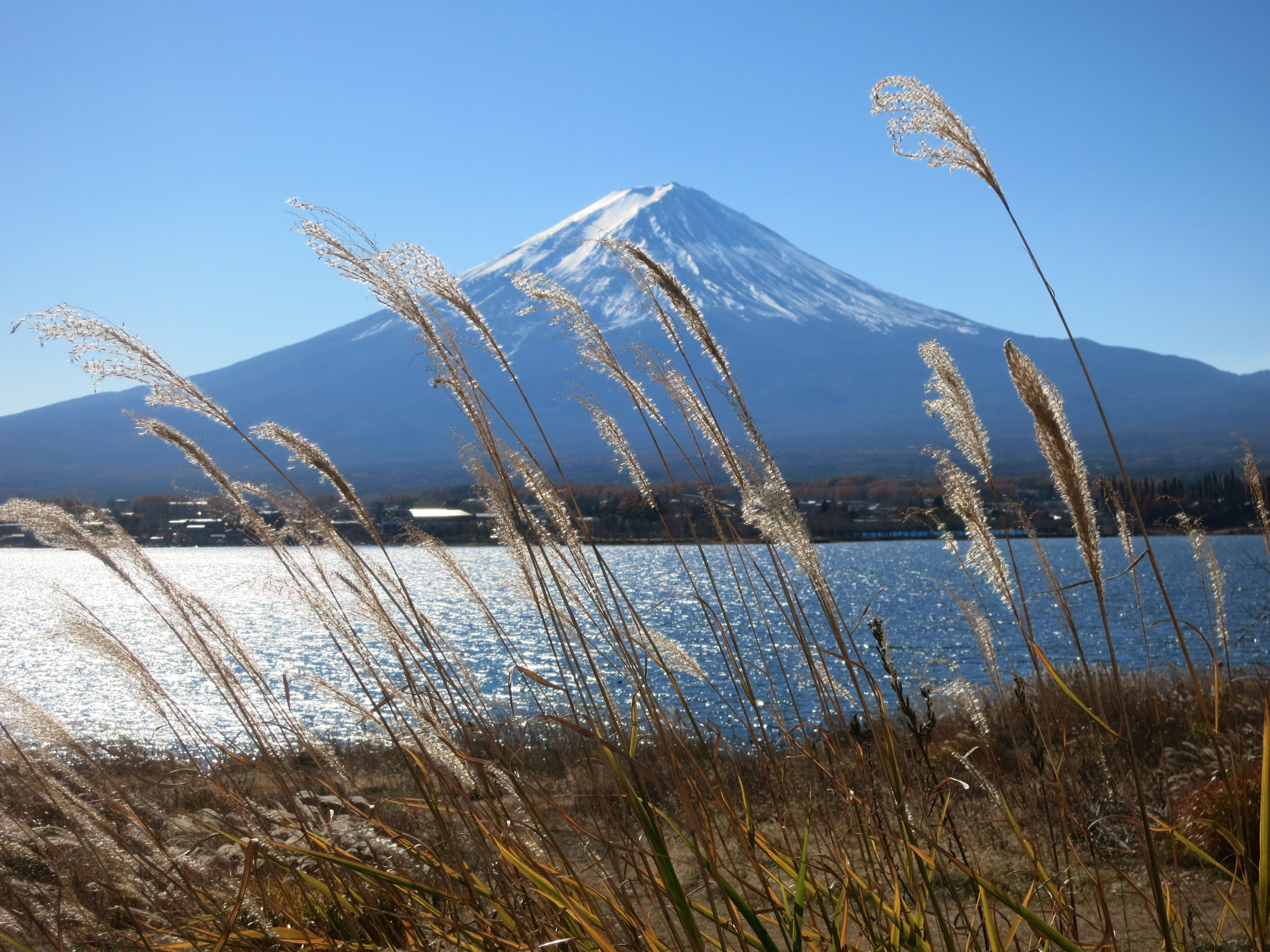 Majestic View of Mount Fuji from Fujinomiya · Free Stock Photo