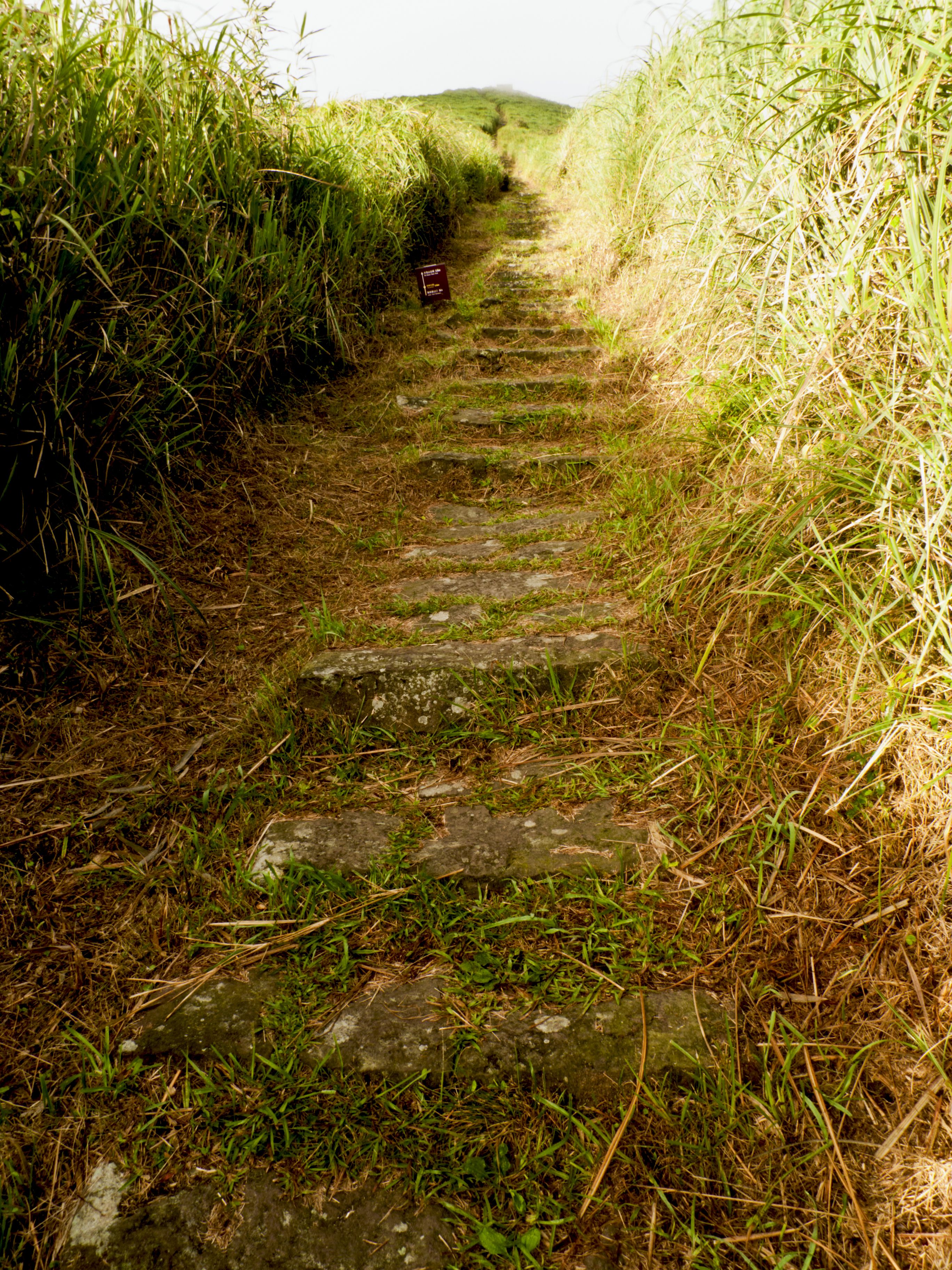 Scenic Hiking Trail Through Grassy Hills · Free Stock Photo
