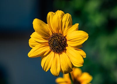 Free Photos Photos, Download The BEST Free Free Photos Stock Photos ...