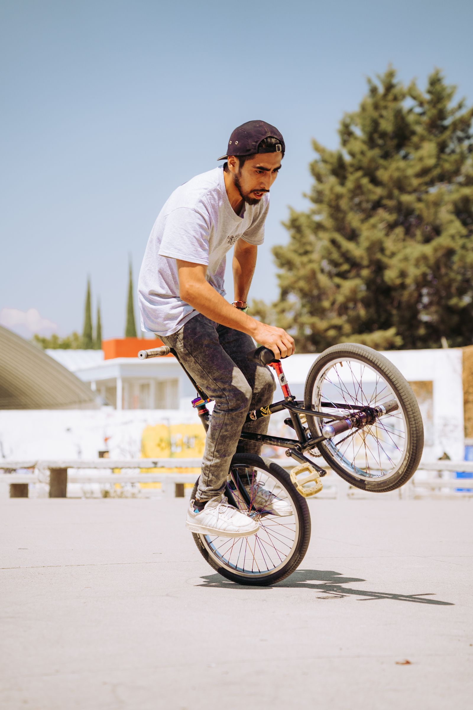 Bmx Photos, Download The BEST Free Bmx Stock Photos & HD Images