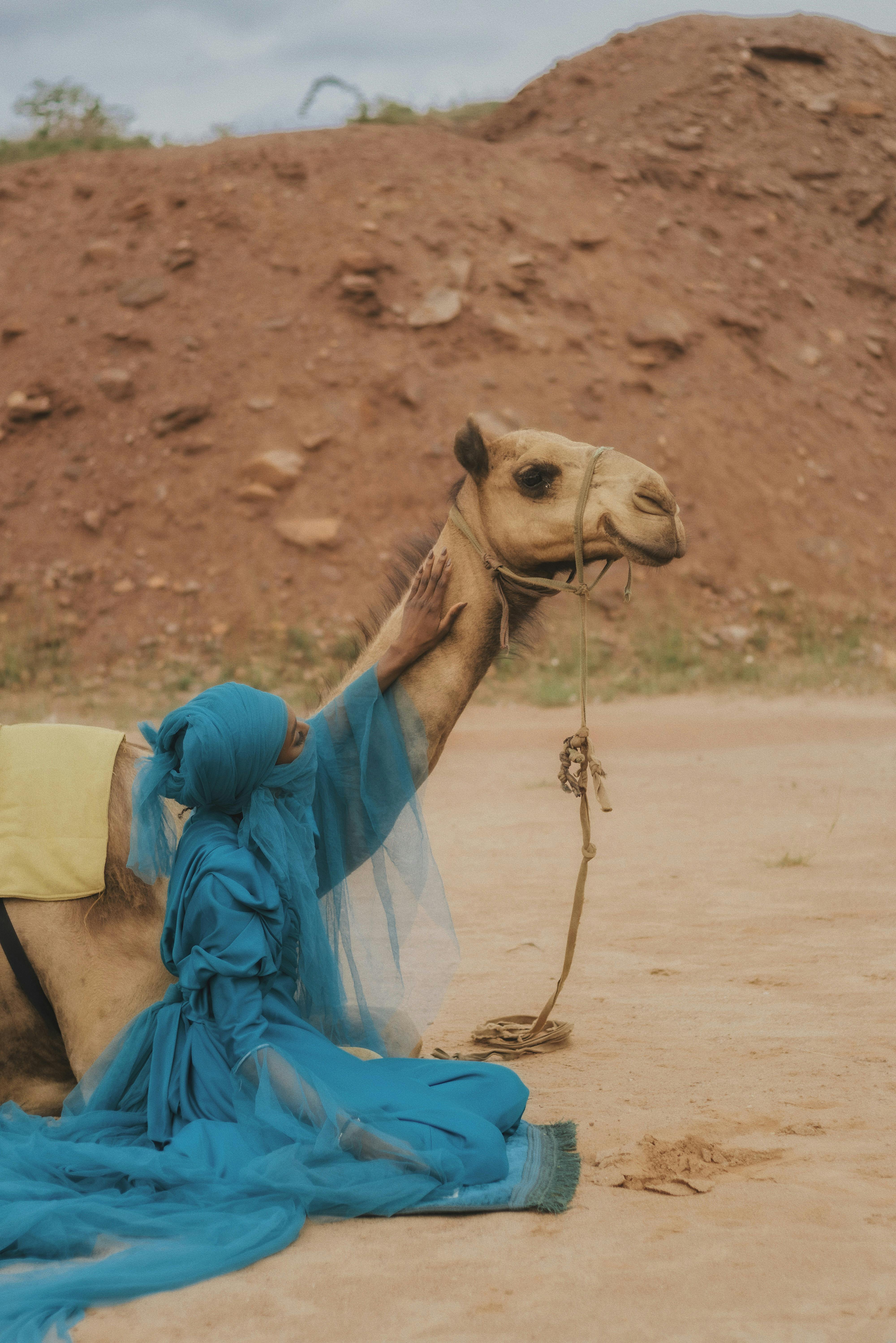 Serene Woman with Camel in Nigerian Desert · Free Stock Photo