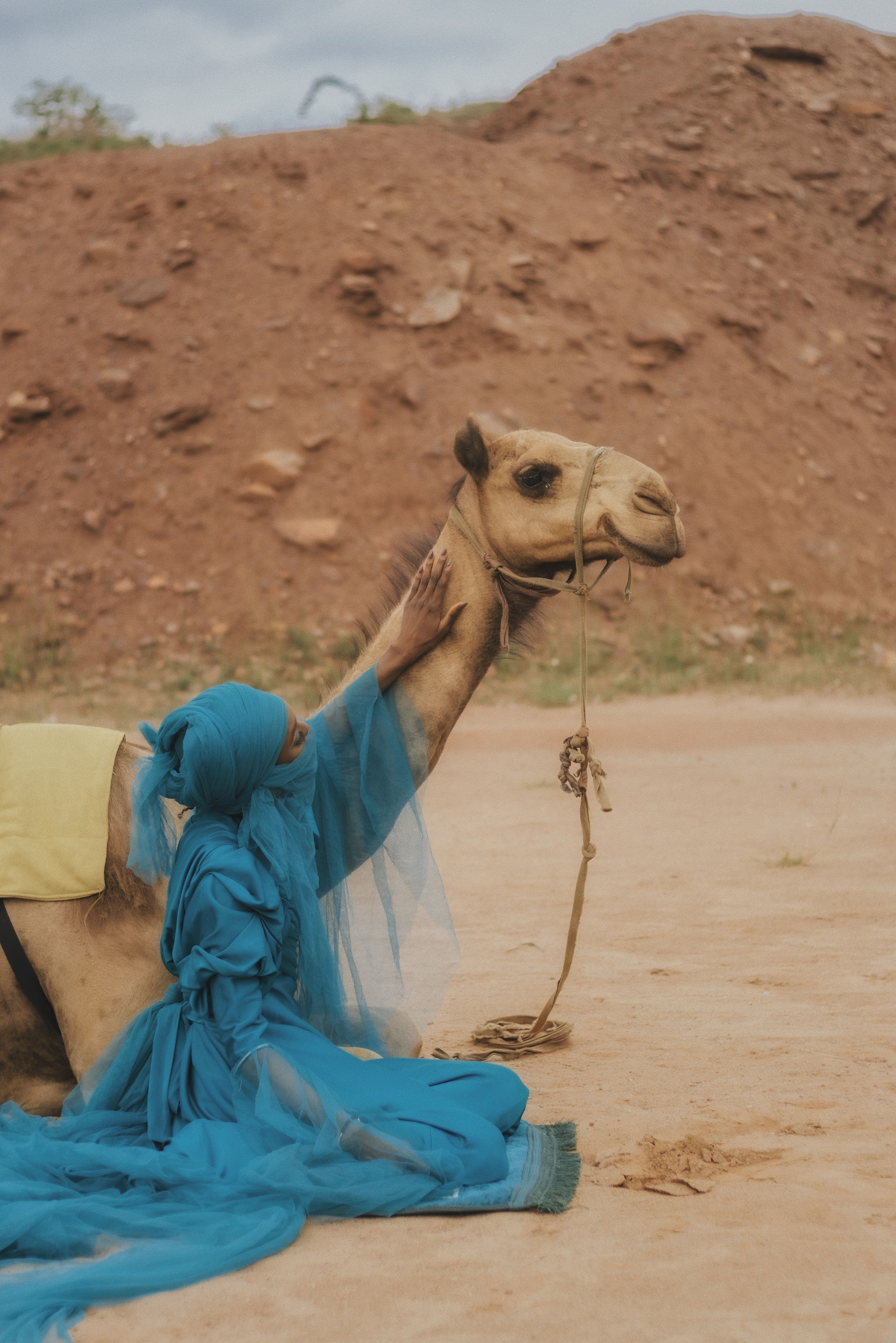 Serene Woman with Camel in Nigerian Desert · Free Stock Photo