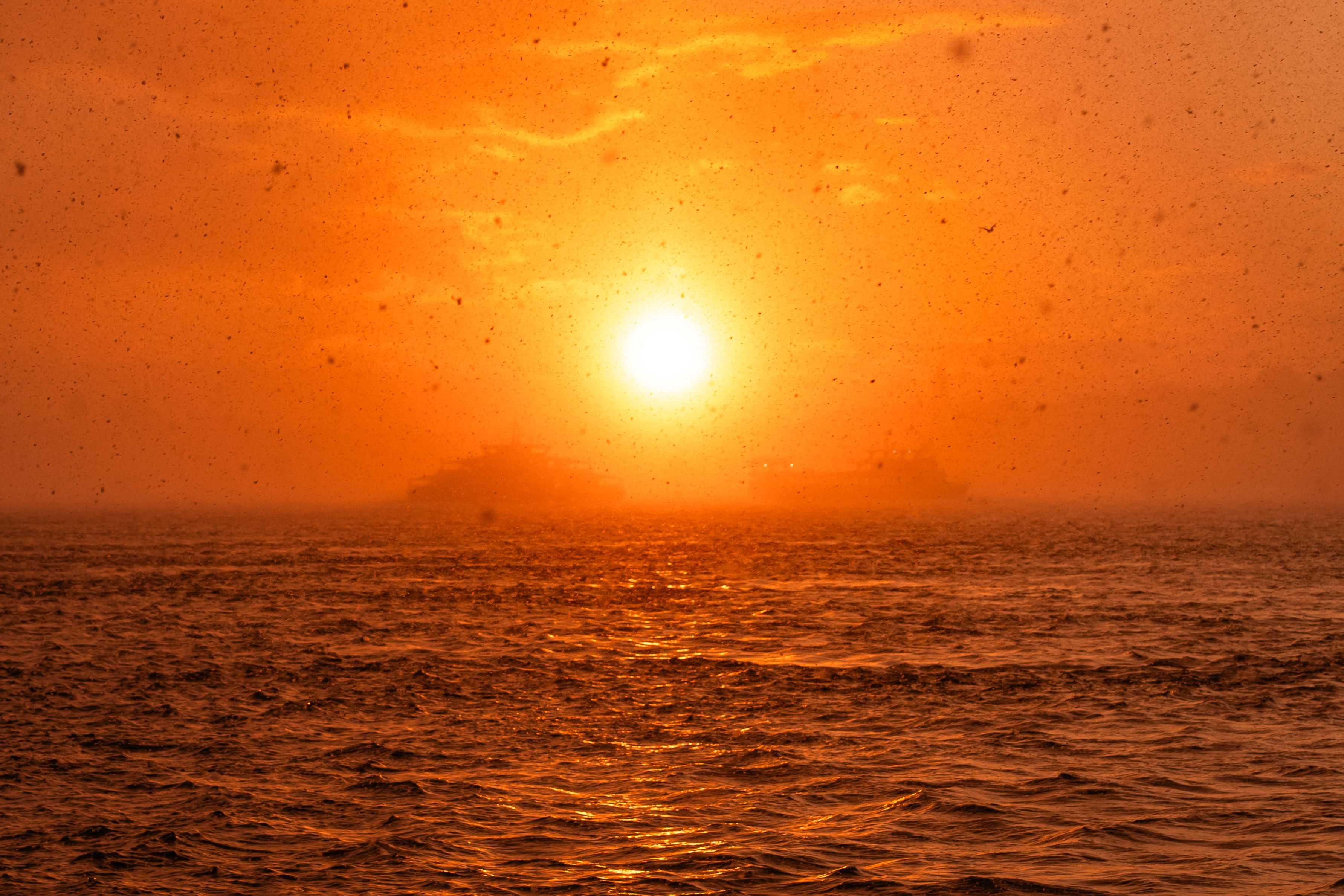 Stunning Sunset Over Ocean with Golden Tones · Free Stock Photo