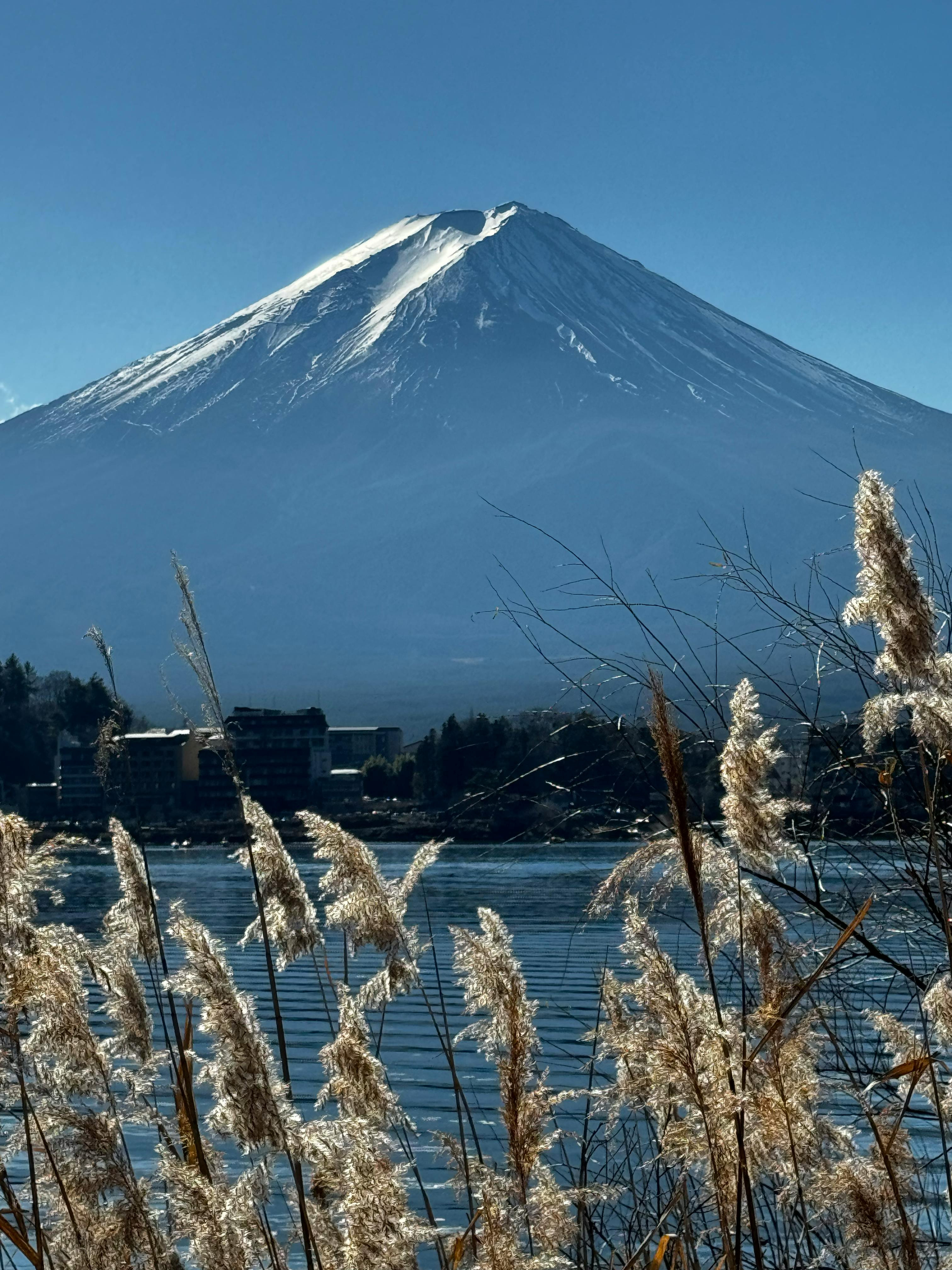 Kanto Map Achtergrond Photos, Download The BEST Free Kanto Map ...