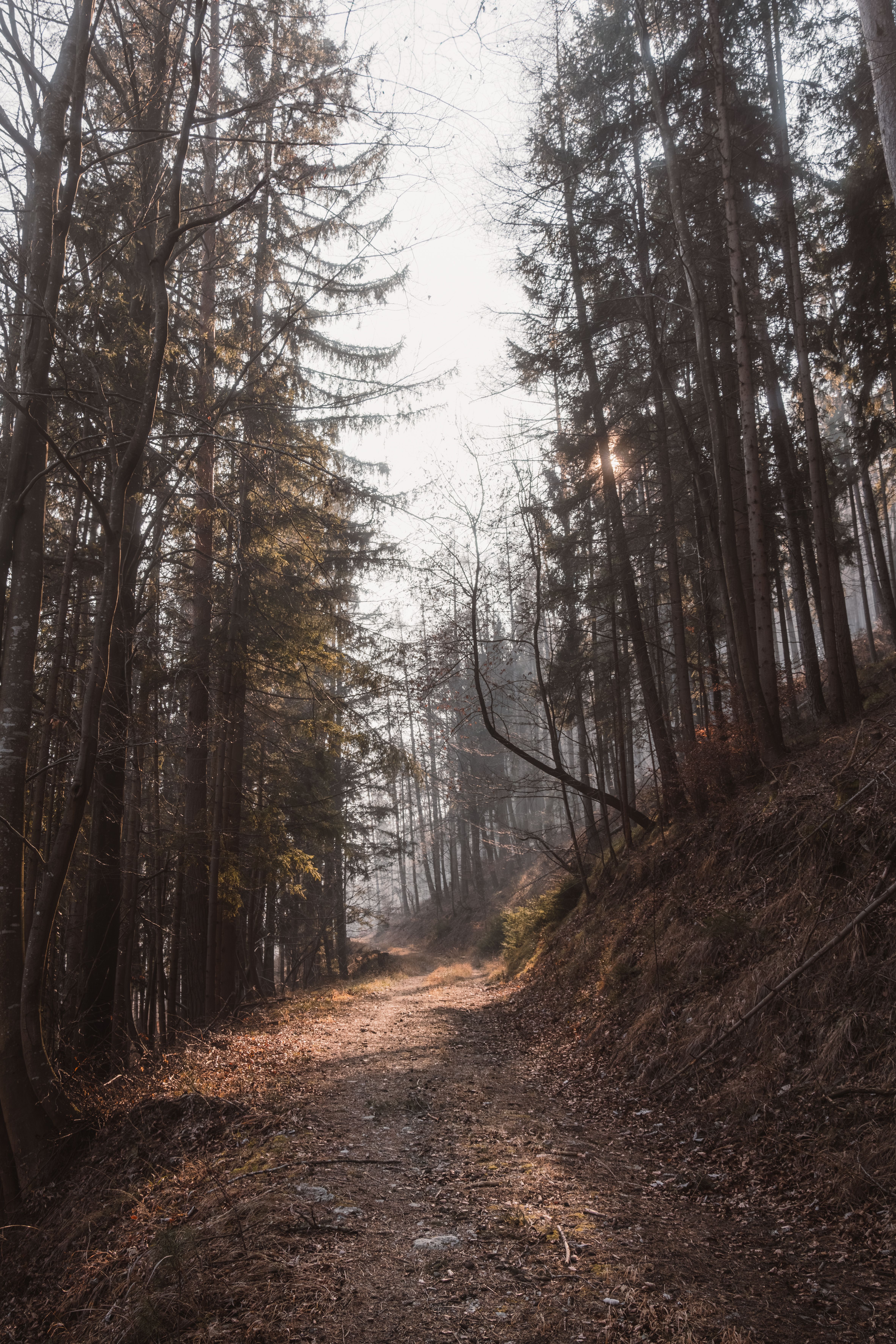 400.000+ Desktop-hintergrund Im Querformat Bilder und Fotos · Kostenlos ...