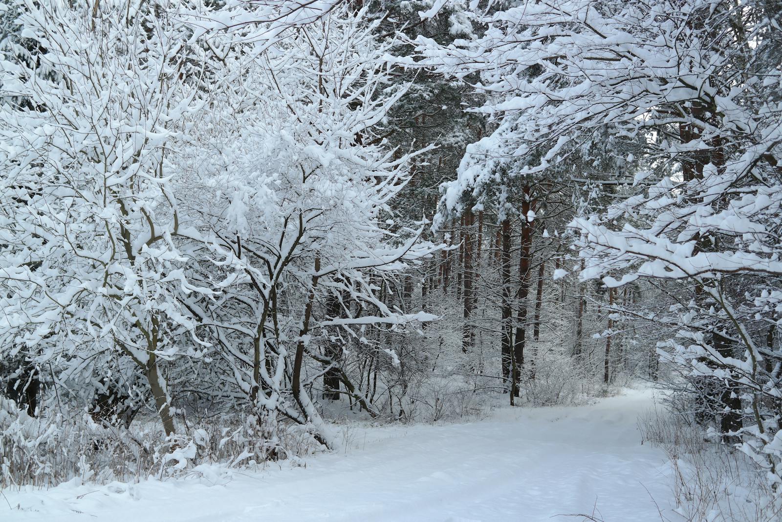 Snow Hiking Photos, Download The BEST Free Snow Hiking Stock Photos ...