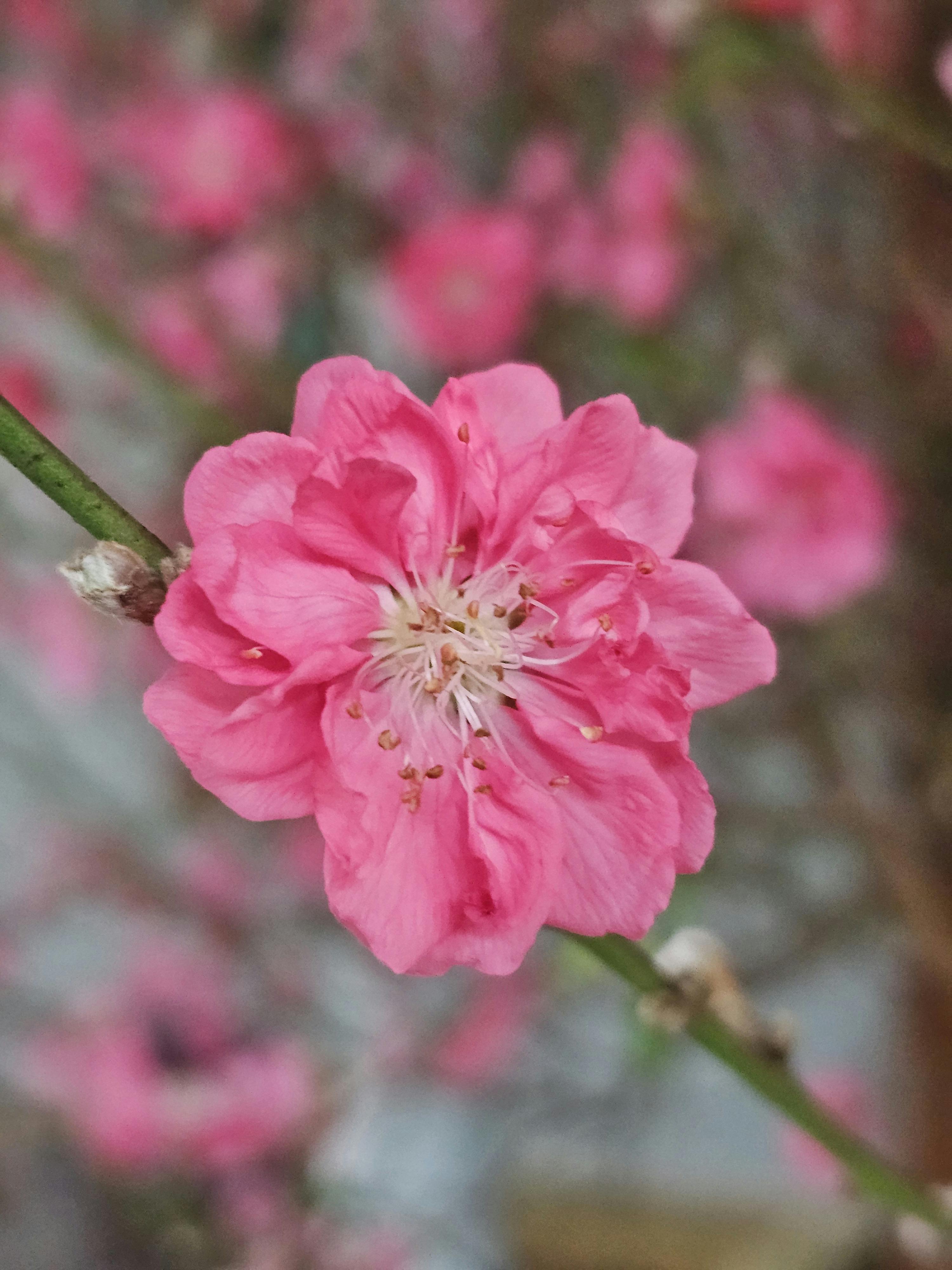 Tet+Harjoittelu Photos, Download The BEST Free Tet+Harjoittelu Stock ...