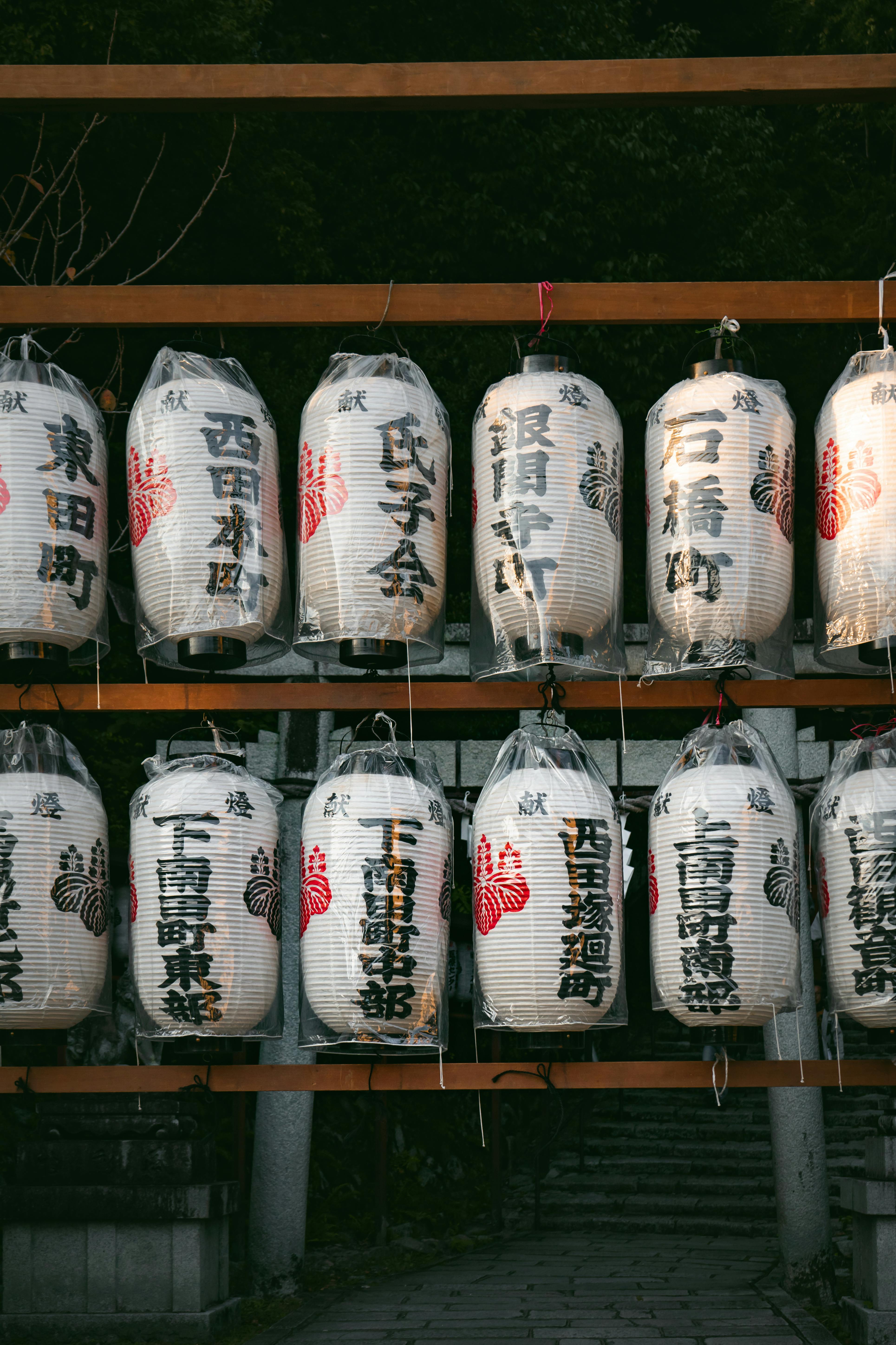 Traditional Japanese Paper Lanterns in Shrine · Free Stock Photo