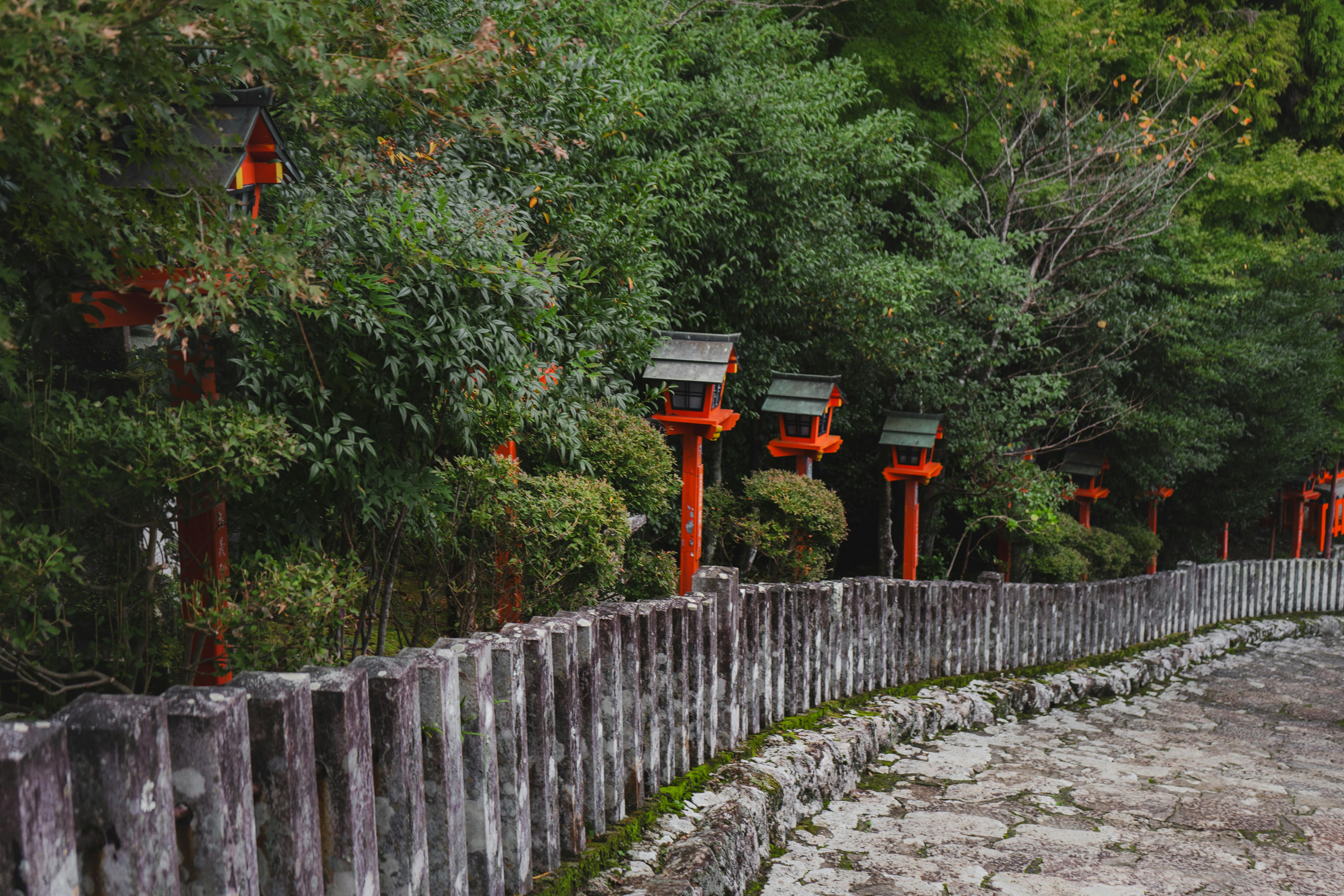 Traditional Japanese Pathway with Lanterns · Free Stock Photo