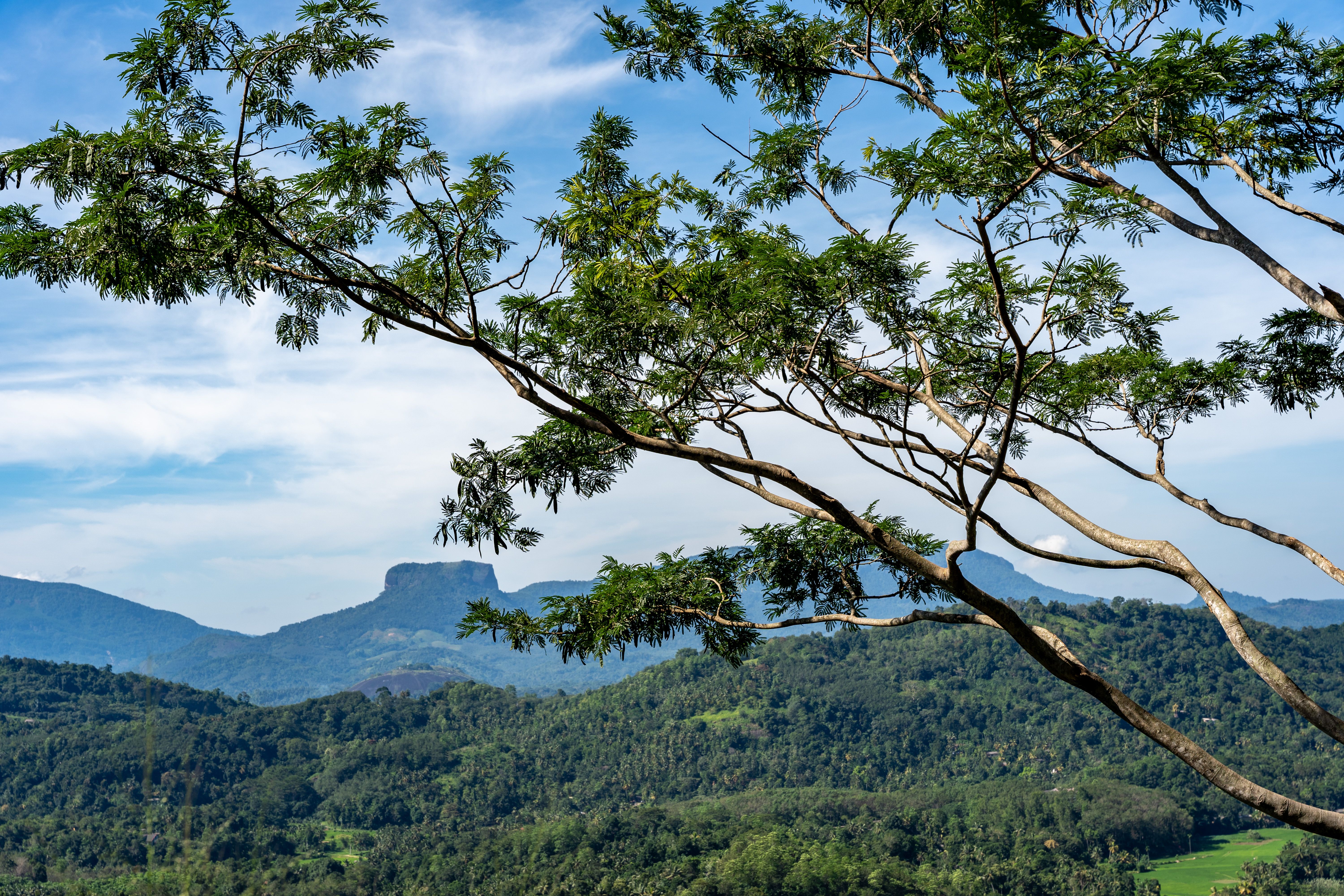 Scenic Landscape View of Knuckles Mountain Range · Free Stock Photo