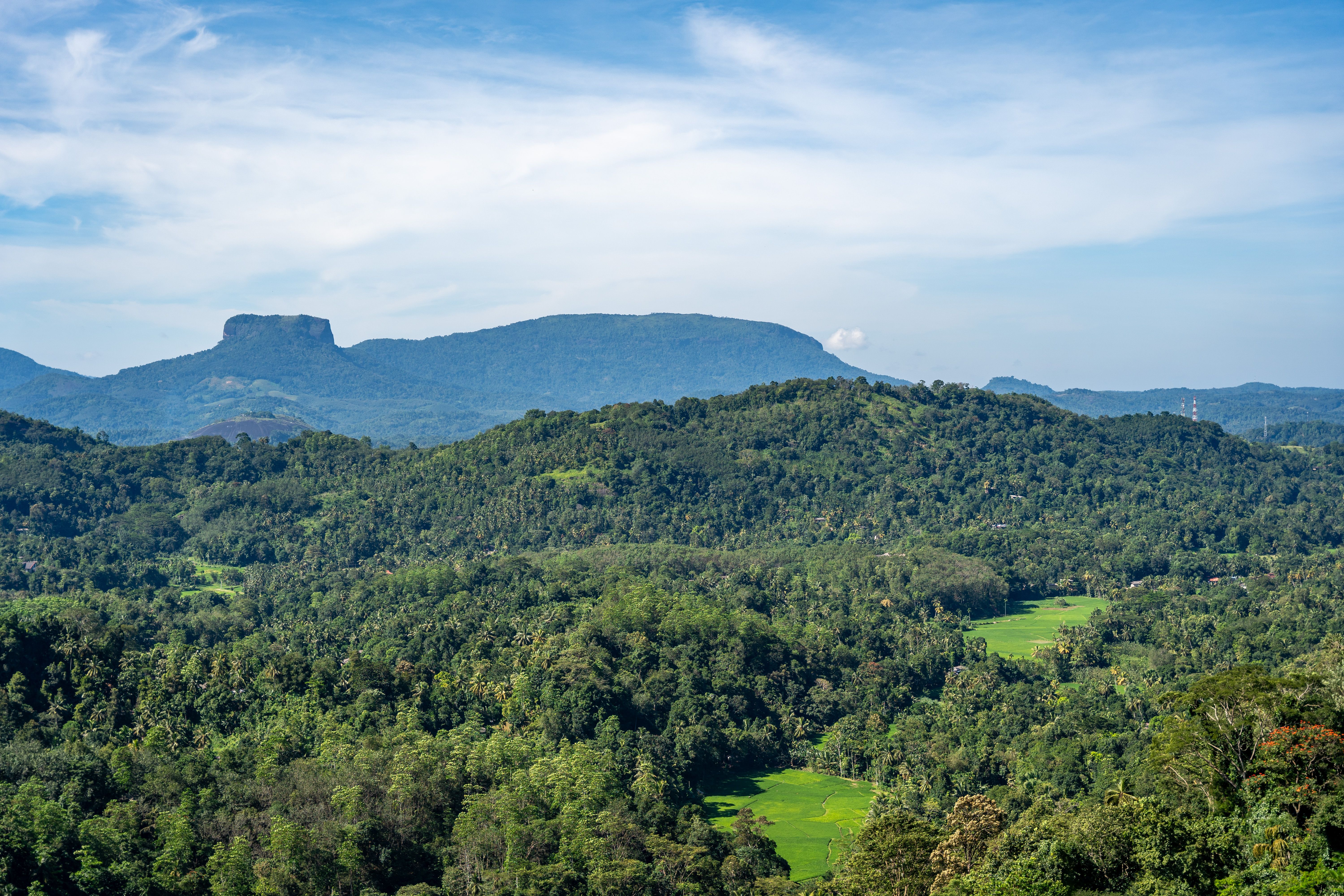Knuckles Mountain Range In Mathale Photos, Download The BEST Free ...
