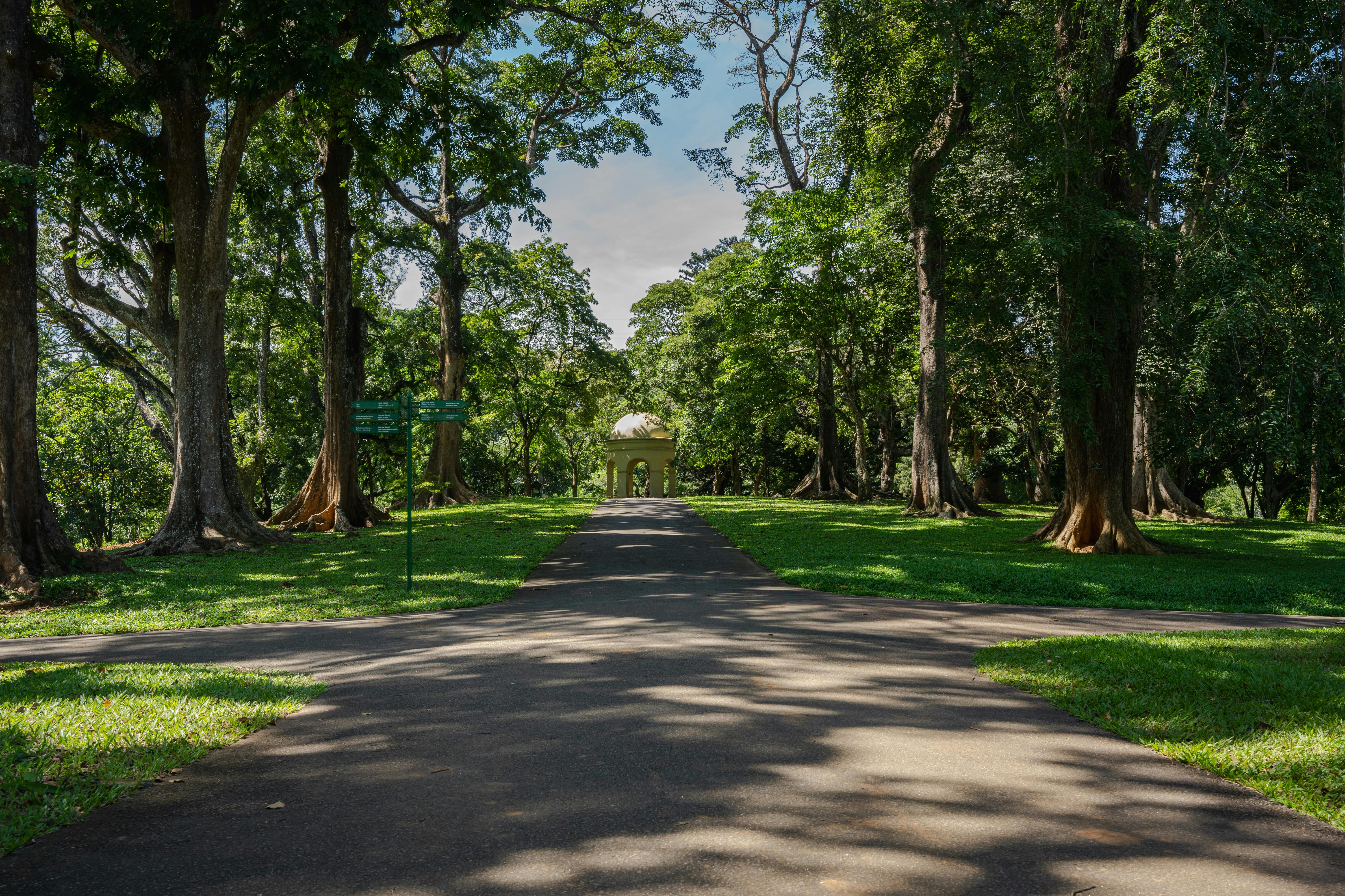 Walk In The Path Photos, Download The BEST Free Walk In The Path Stock ...