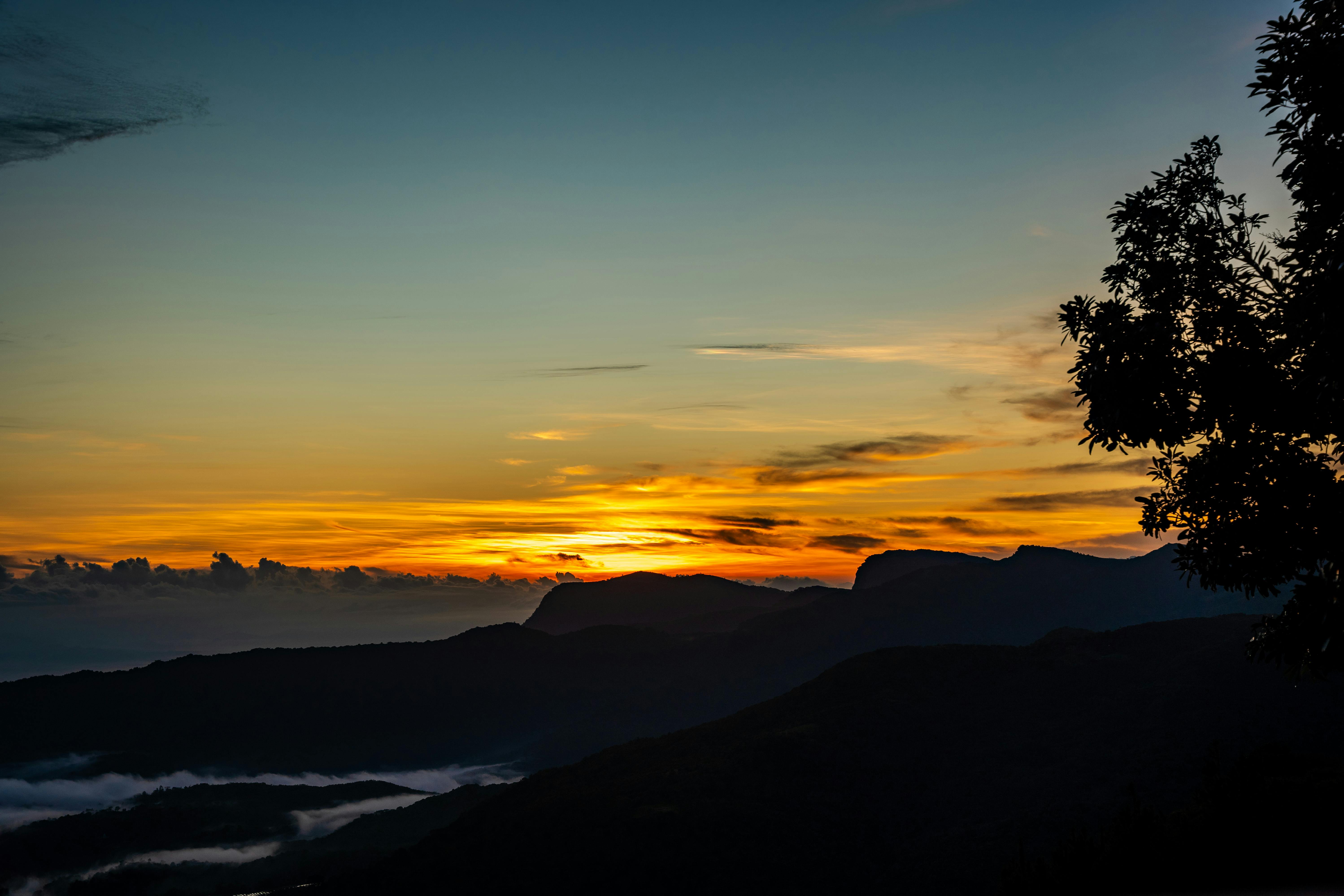 Cow Outline Photos, Download The BEST Free Cow Outline Stock Photos ...