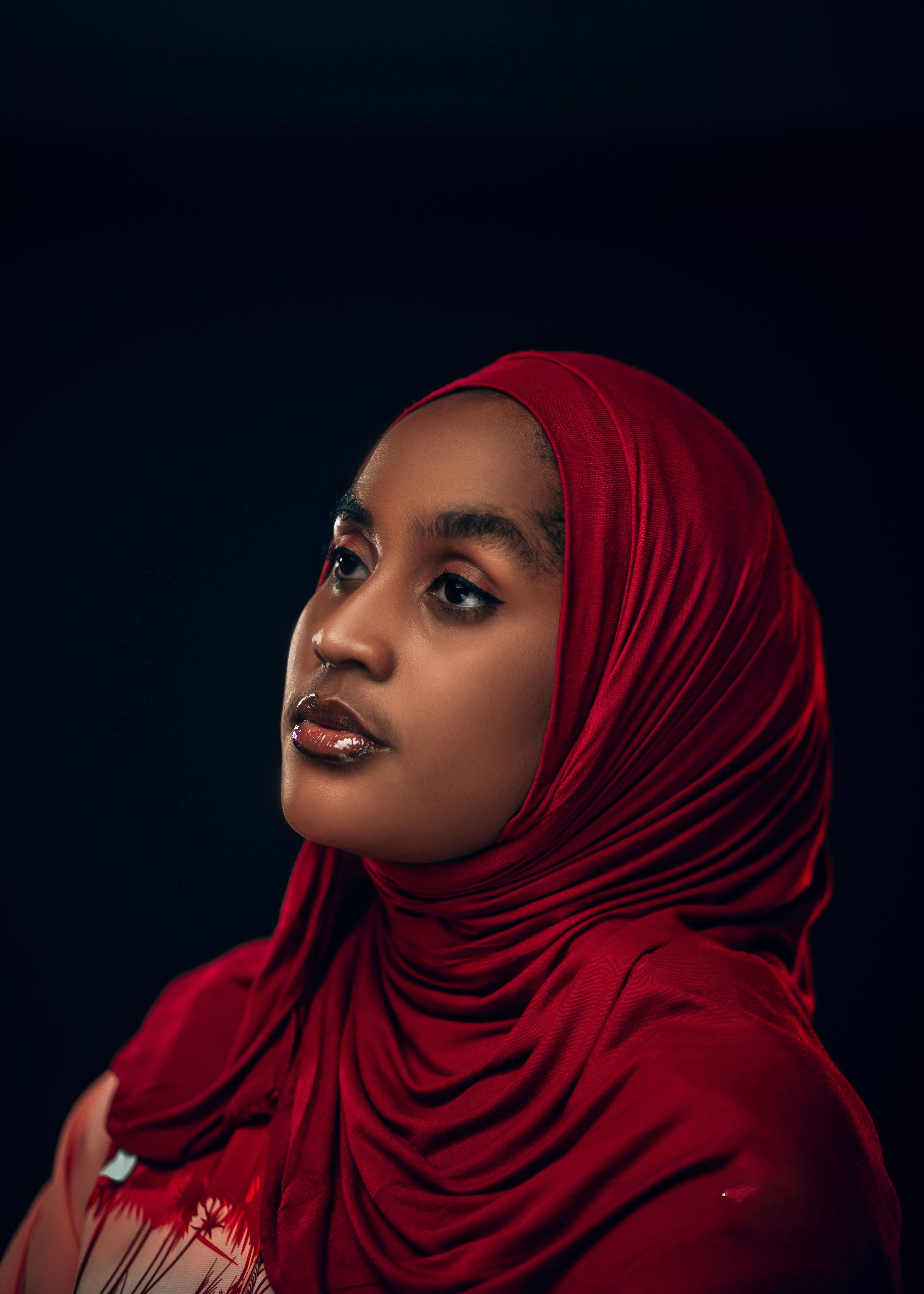 Portrait of Woman in Red Hijab with Dramatic Lighting · Free Stock Photo