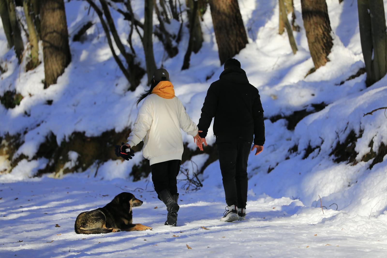 Snow Hiking Photos, Download The BEST Free Snow Hiking Stock Photos ...