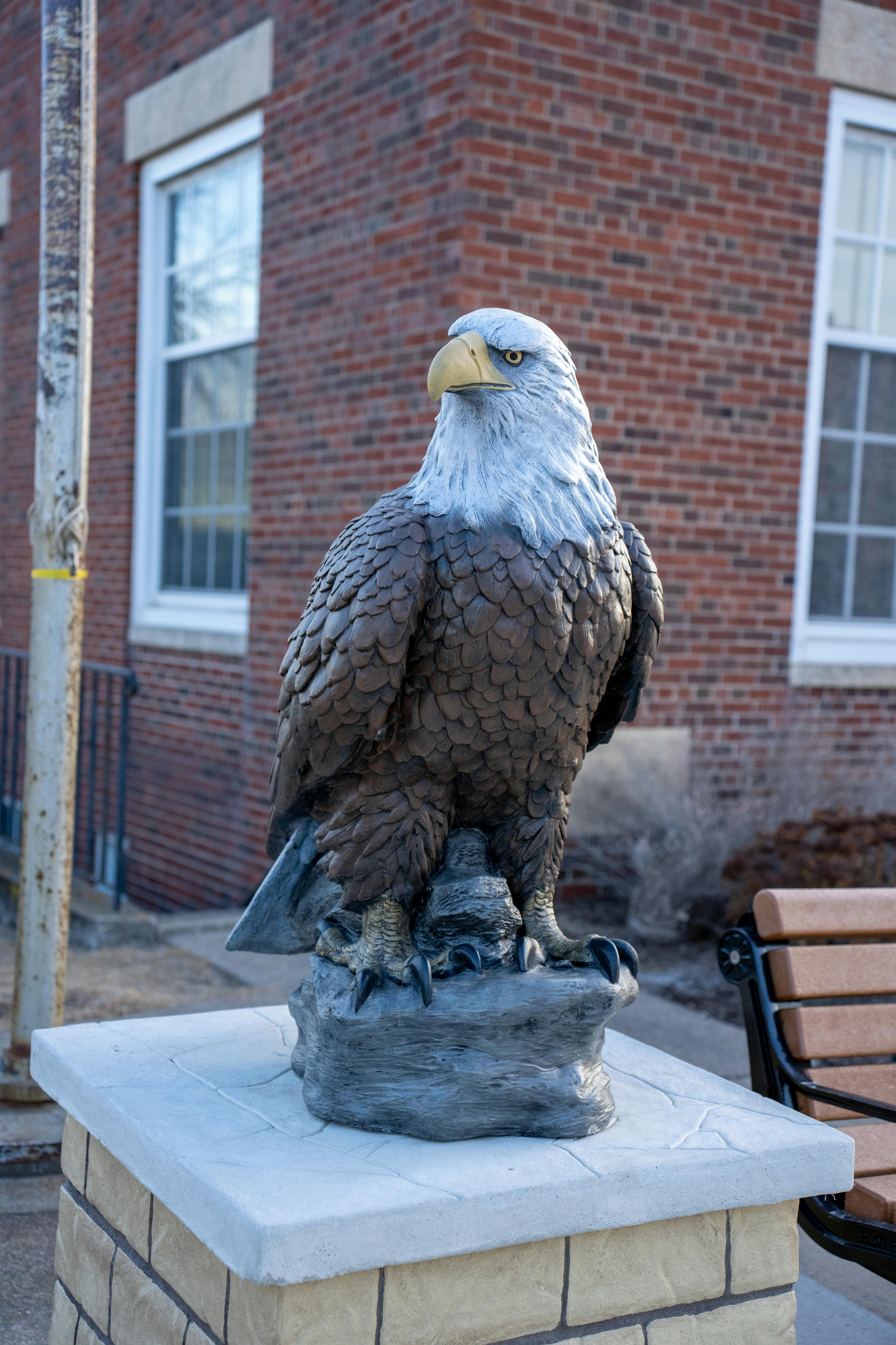 Stately Bald Eagle Sculpture in Wabasha · Free Stock Photo