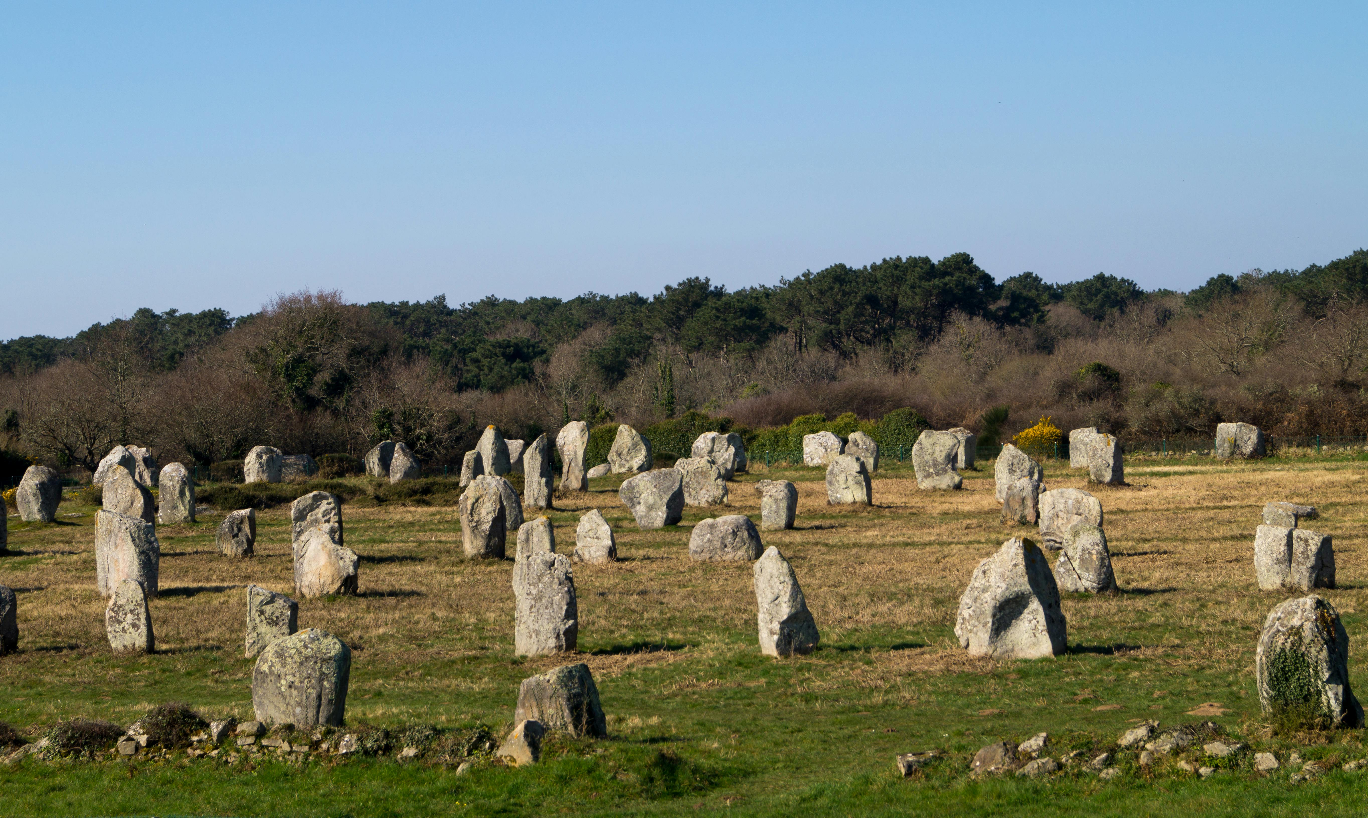 Historic Menhir Stones in Carnac, France · Free Stock Photo
