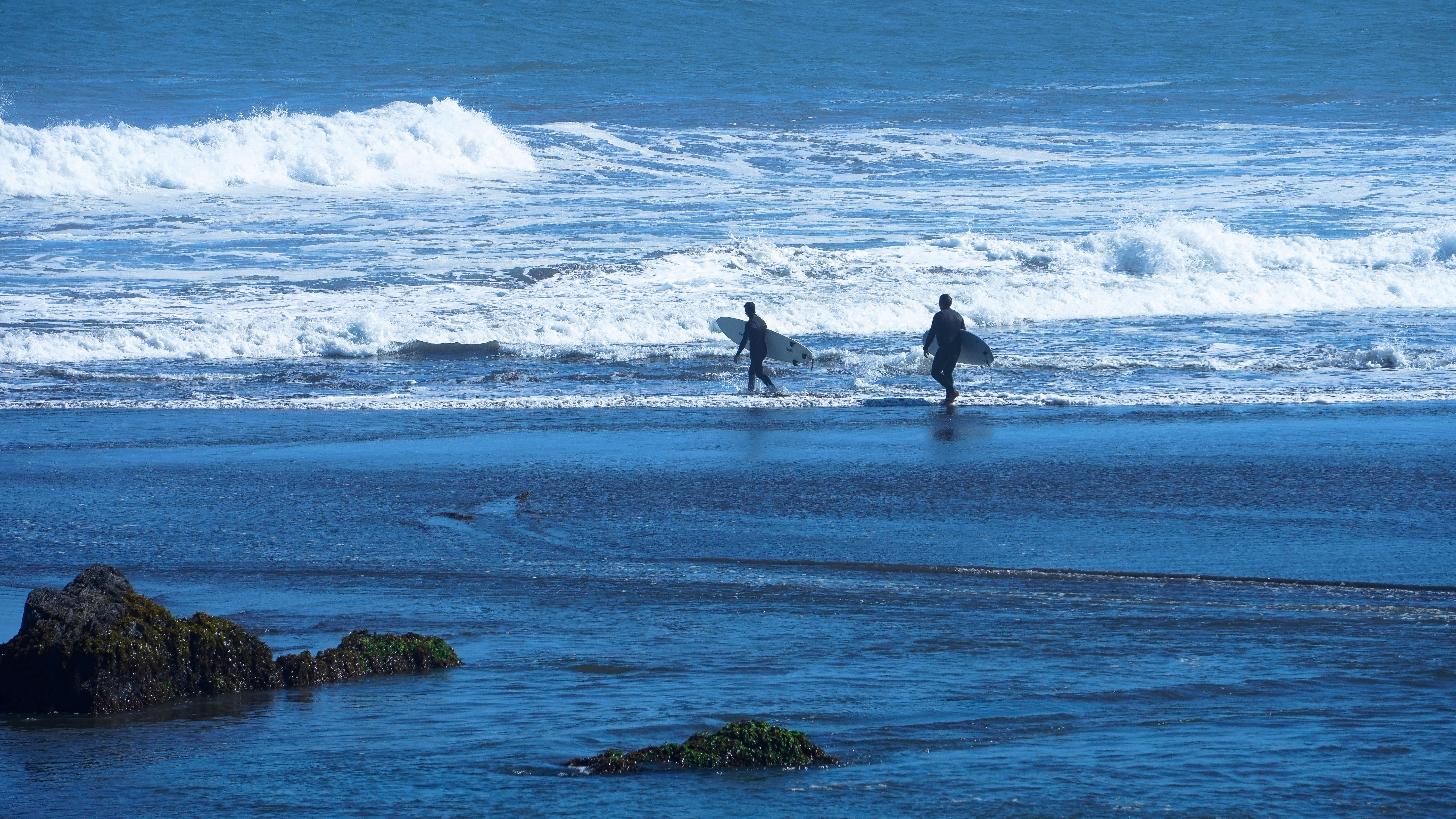 Surfers Embrace Waves at O'Higgins Beach · Free Stock Photo