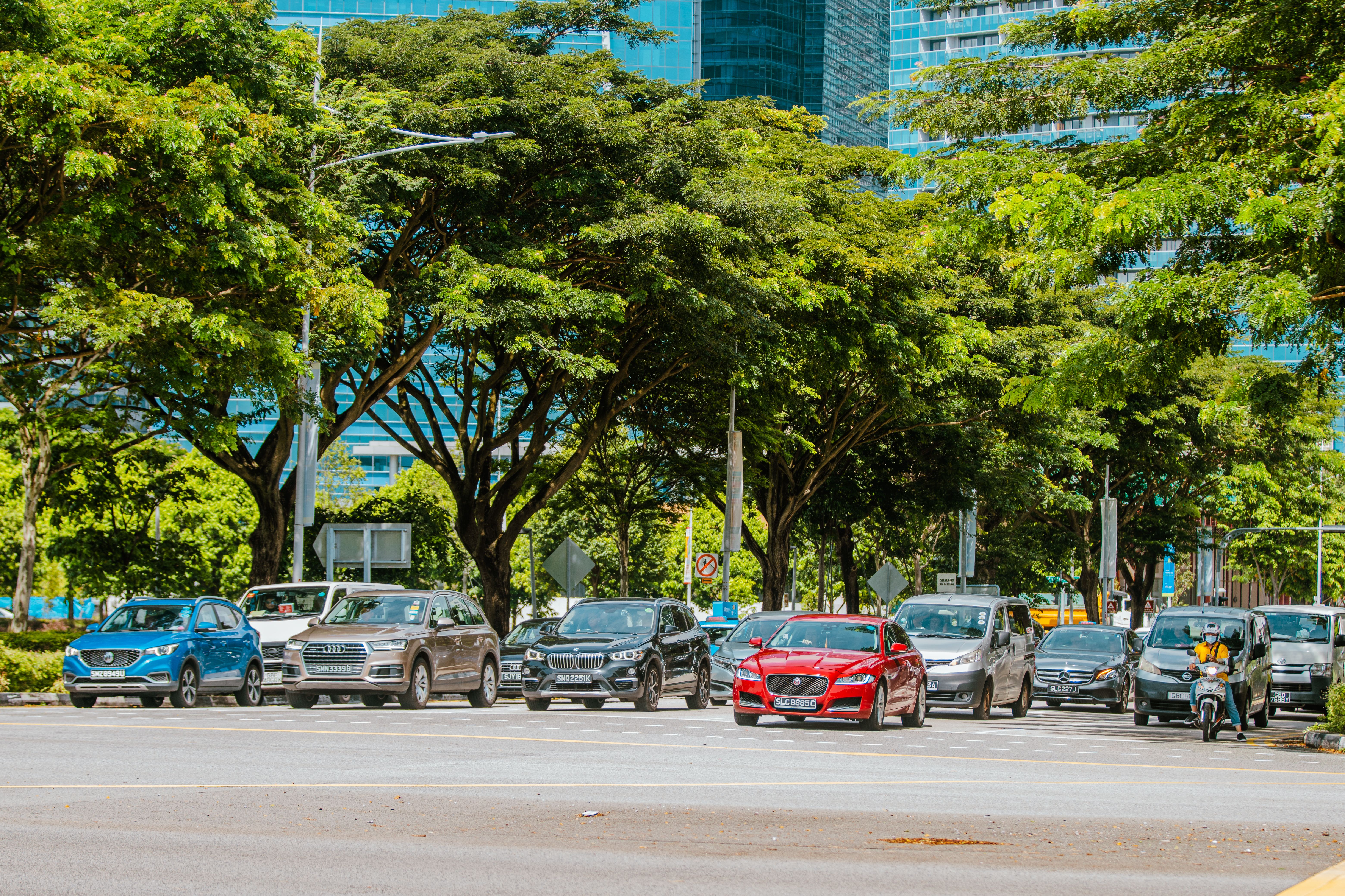 Urban Street Traffic with Modern Buildings and Greenery · Free Stock Photo