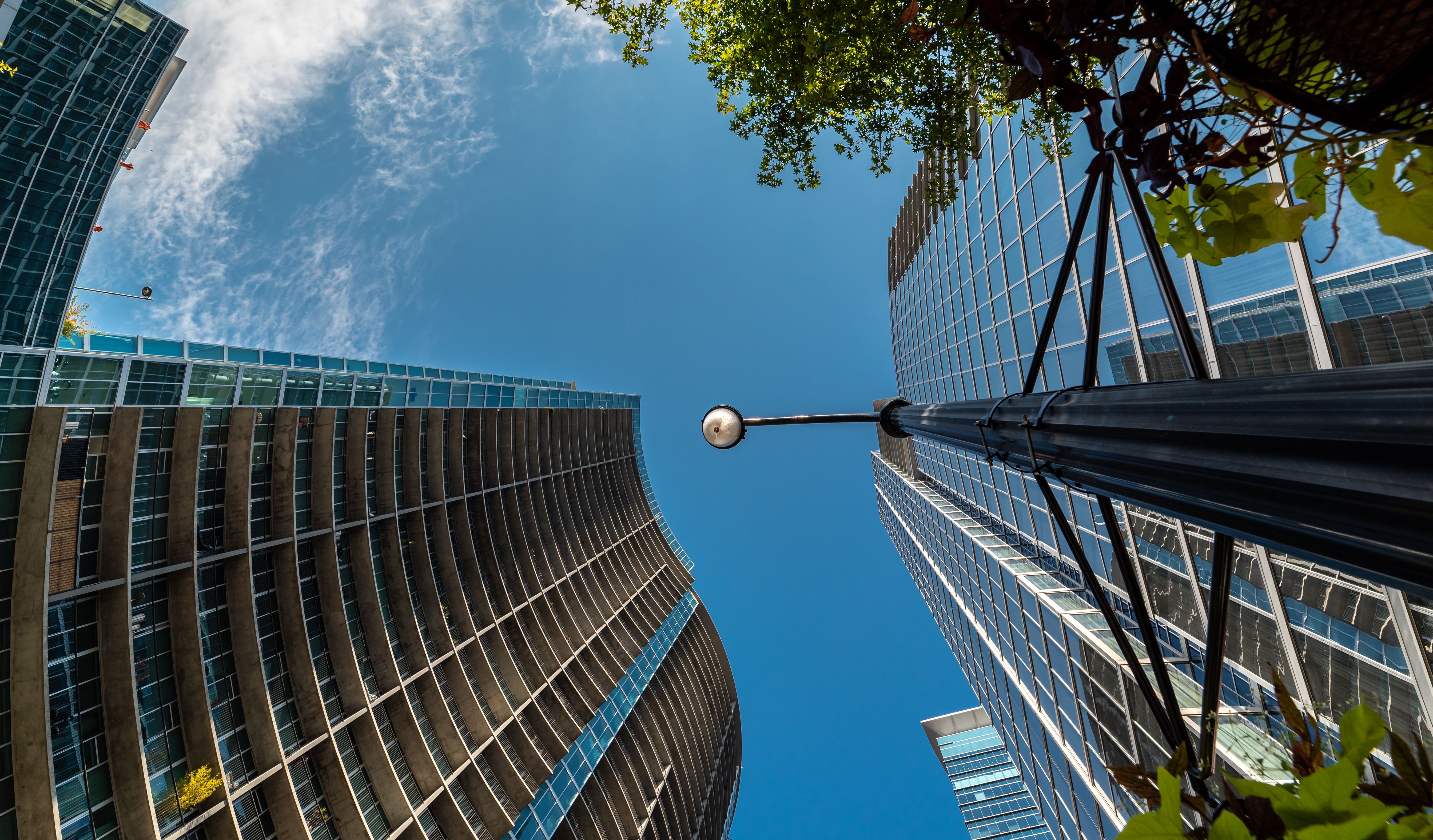 Modern Skyscrapers and Blue Skies in Atlanta · Free Stock Photo