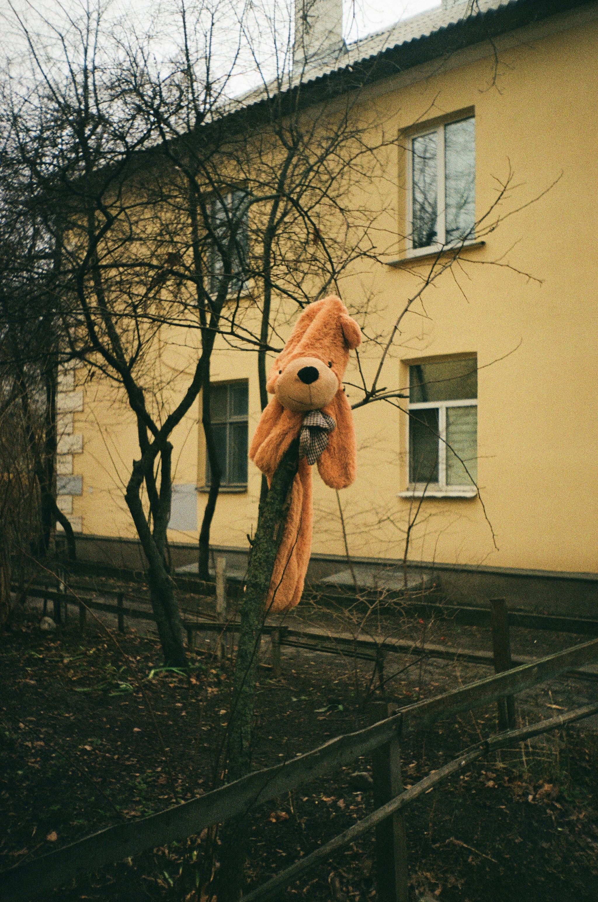 Barely Hanging On Photos, Download The BEST Free Barely Hanging On ...
