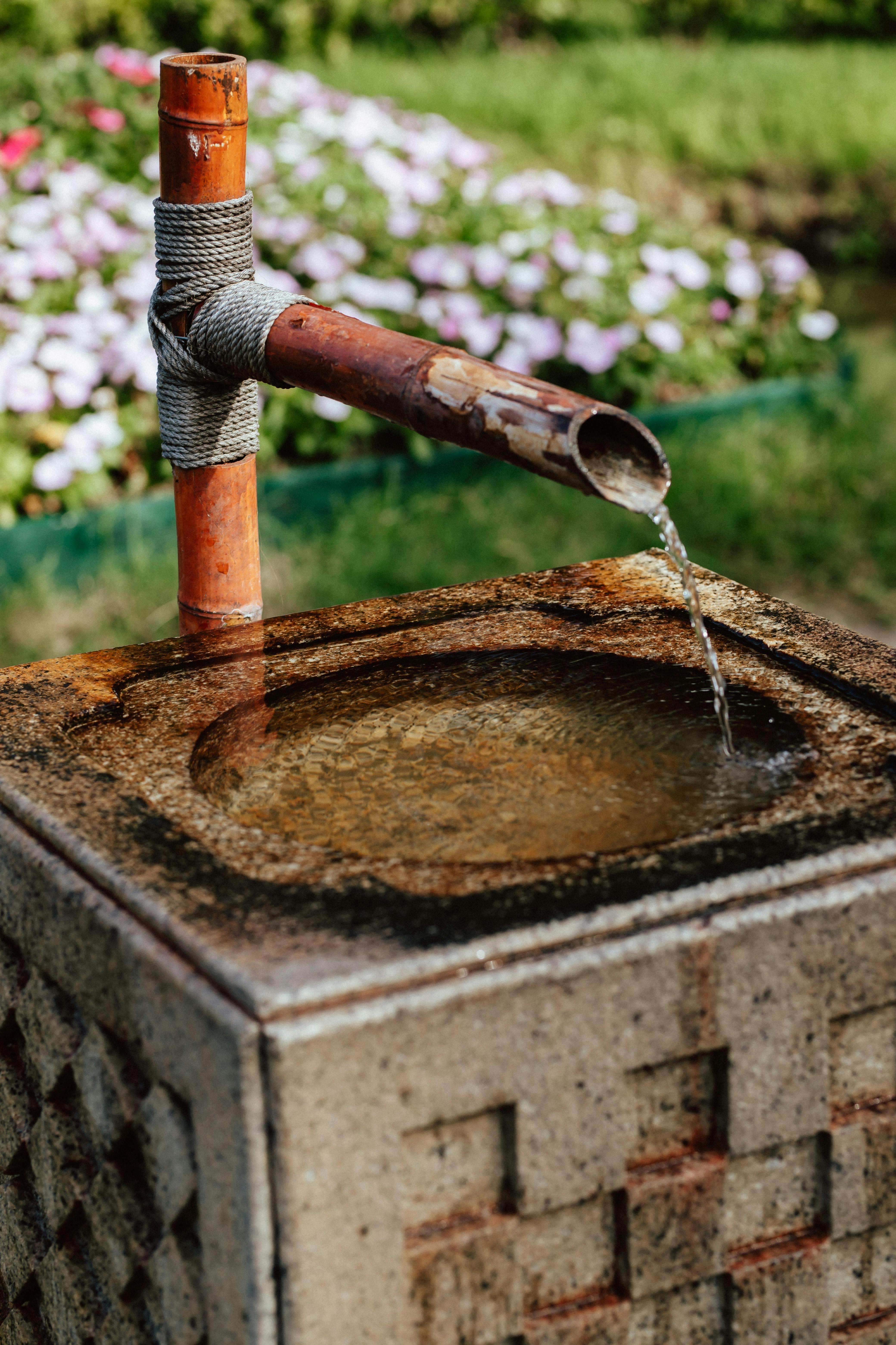 Ss Font Photos, Download The BEST Free Ss Font Stock Photos & HD Images