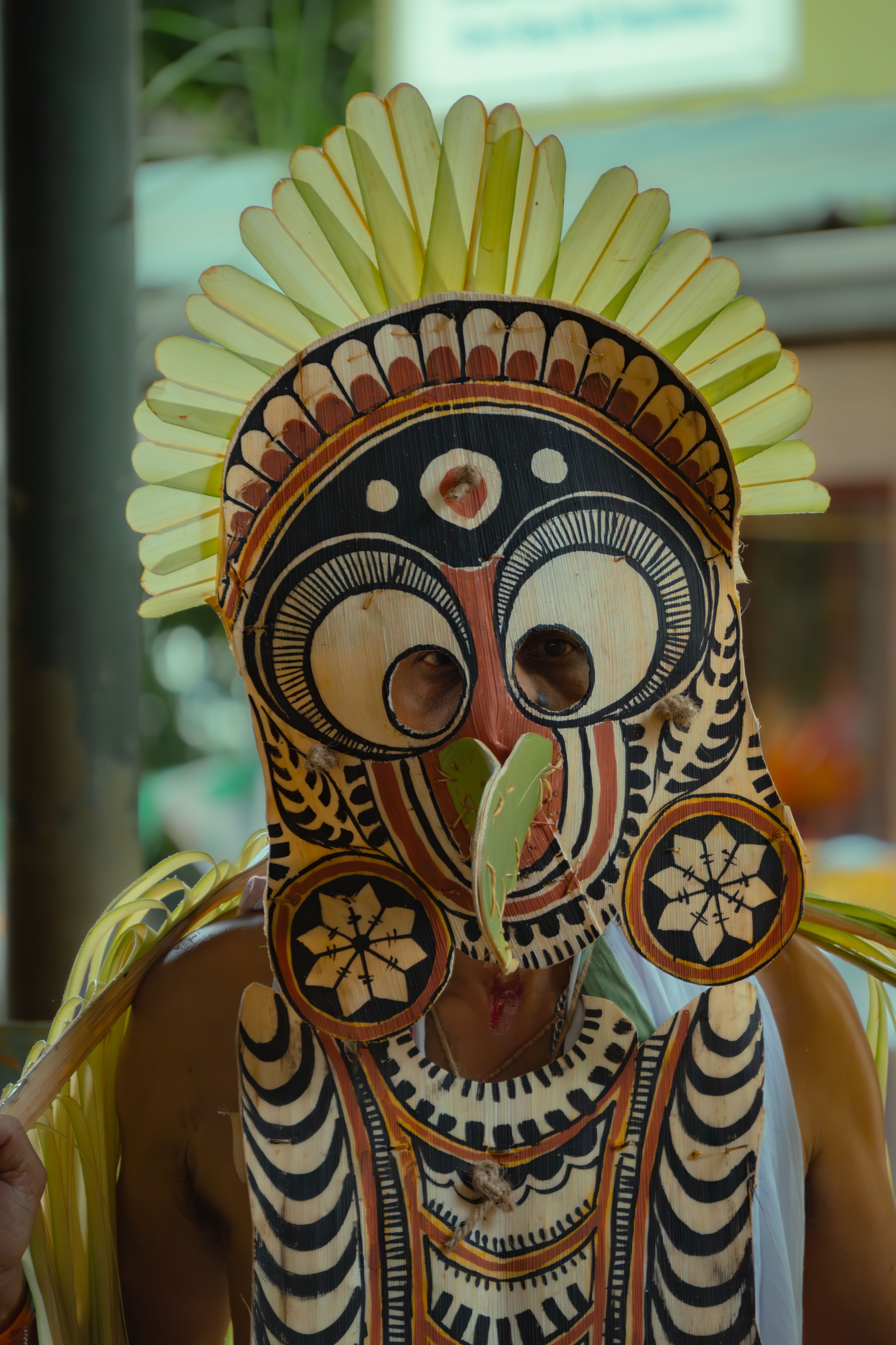Traditional Masked Performer with Tribal Costume · Free Stock Photo