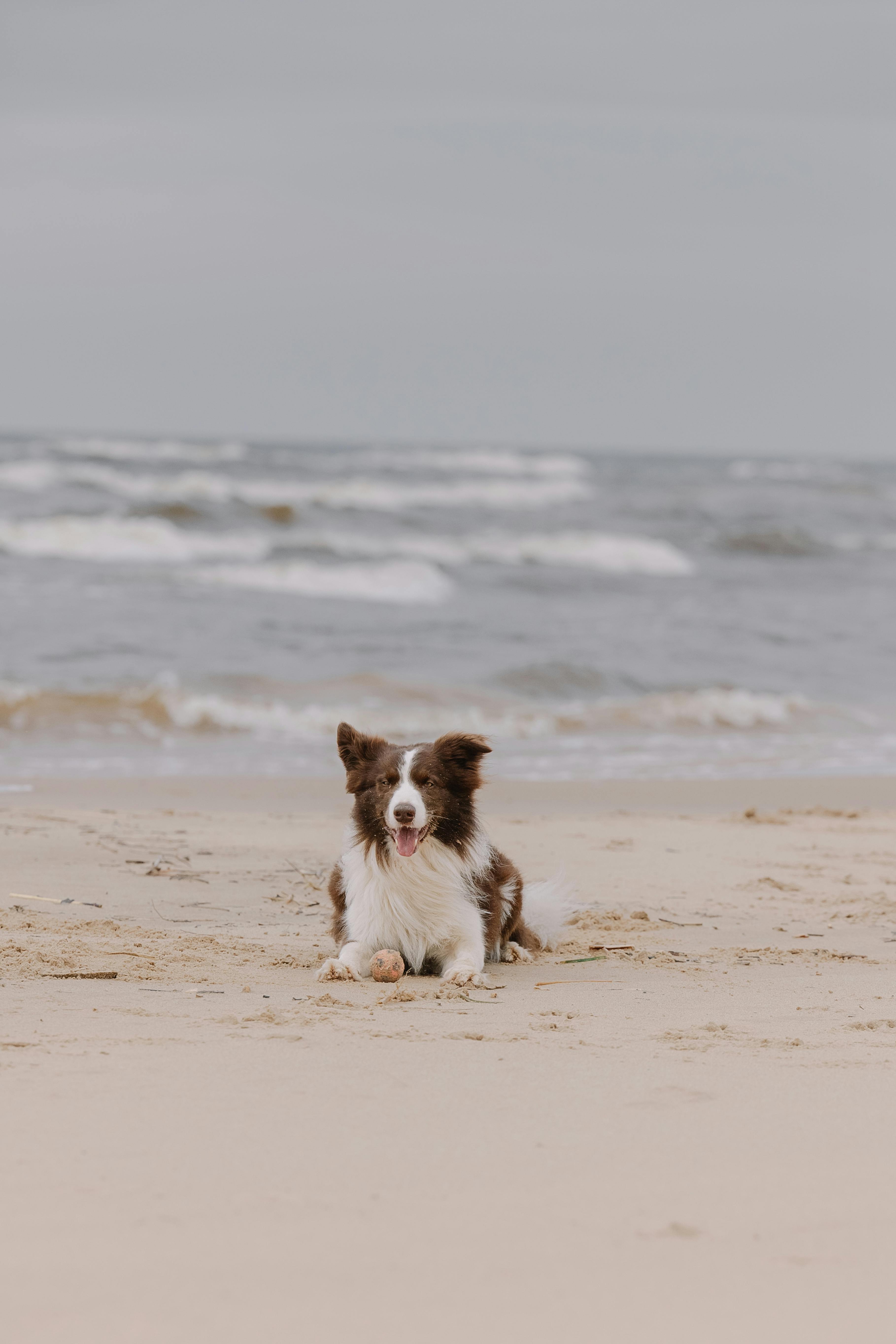 White+Pfp Photos, Download The BEST Free White+Pfp Stock Photos & HD Images