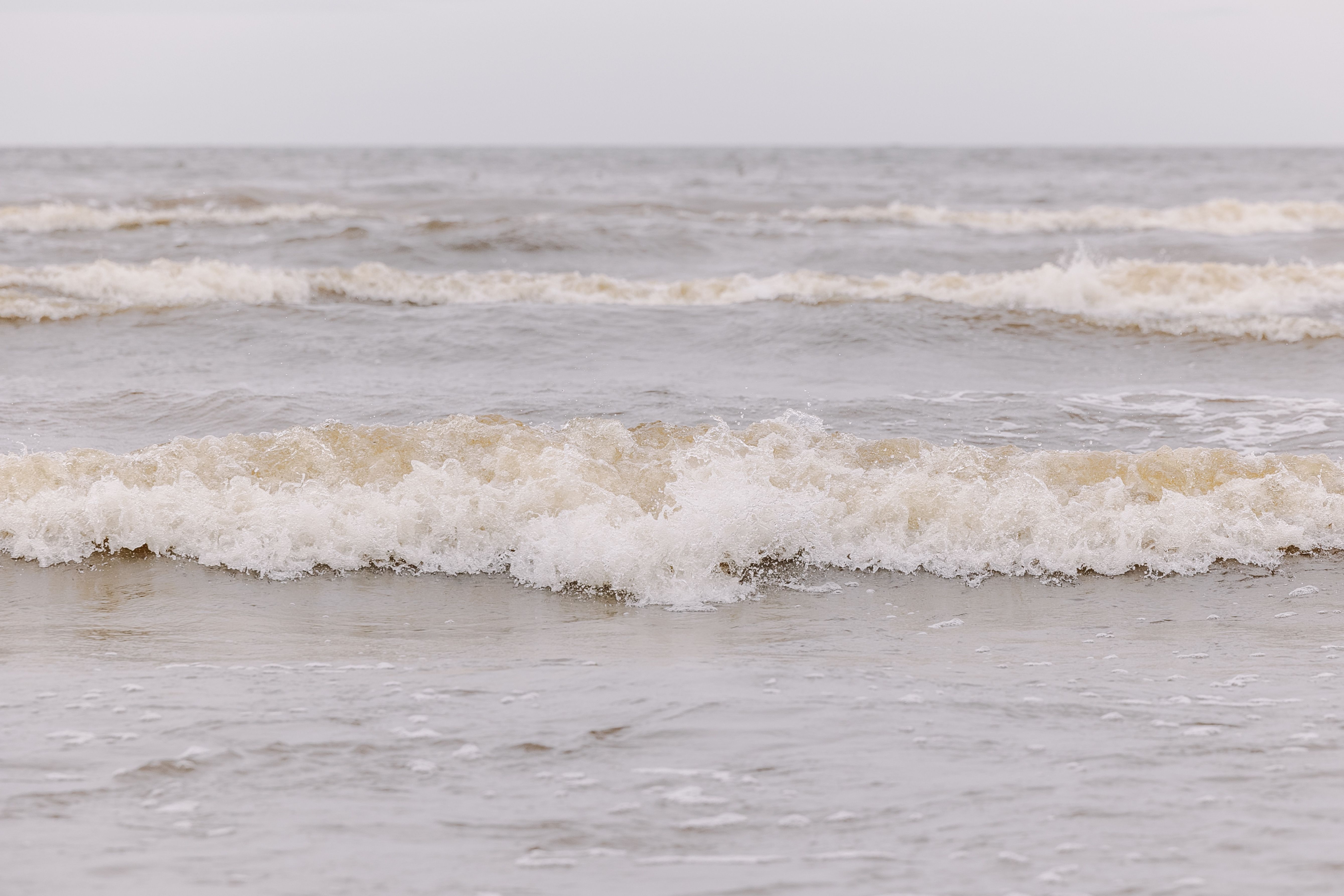 Gentle Ocean Waves on a Tranquil Day · Free Stock Photo