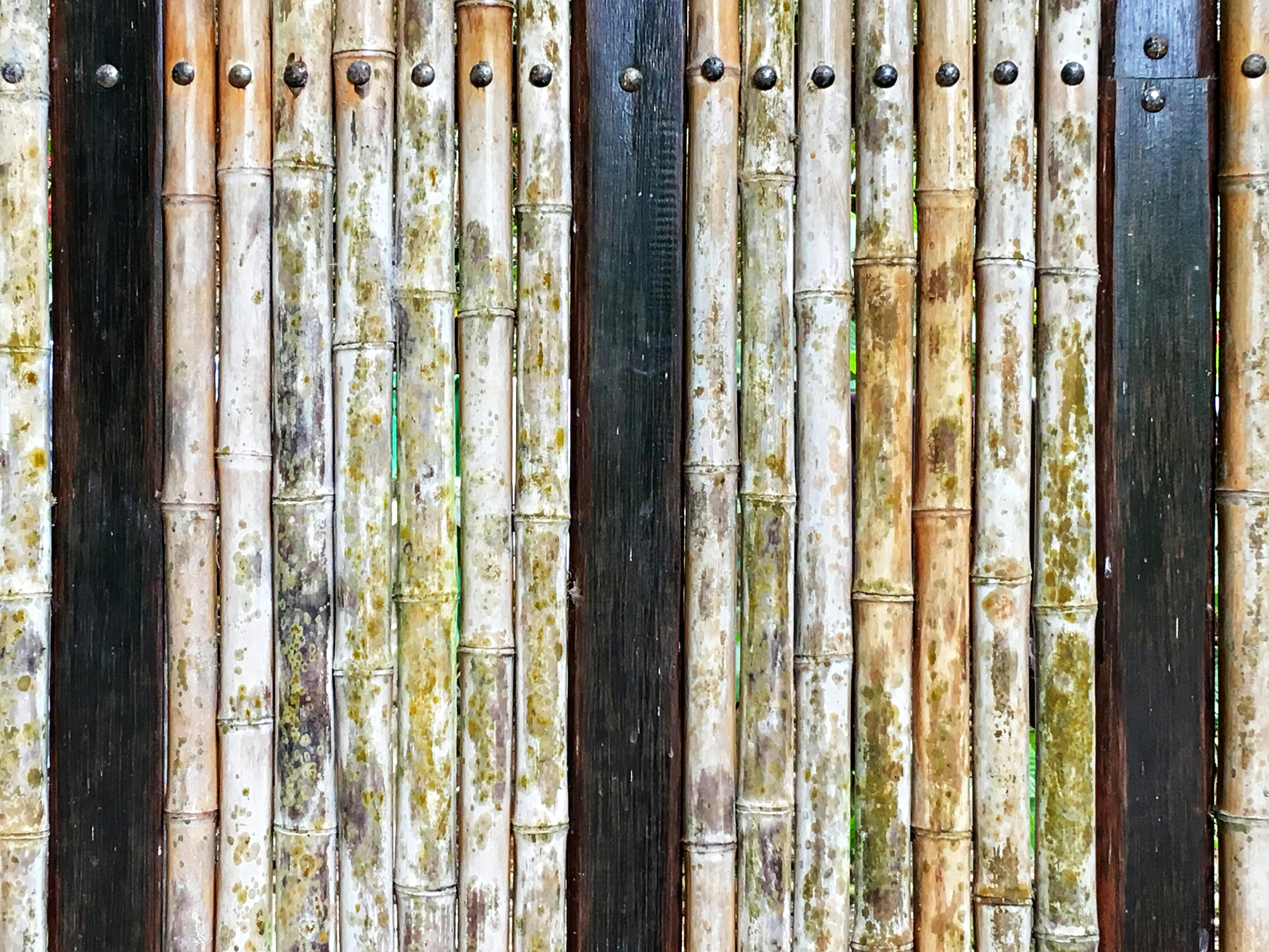 Rustic Bamboo Fence with Natural Texture · Free Stock Photo