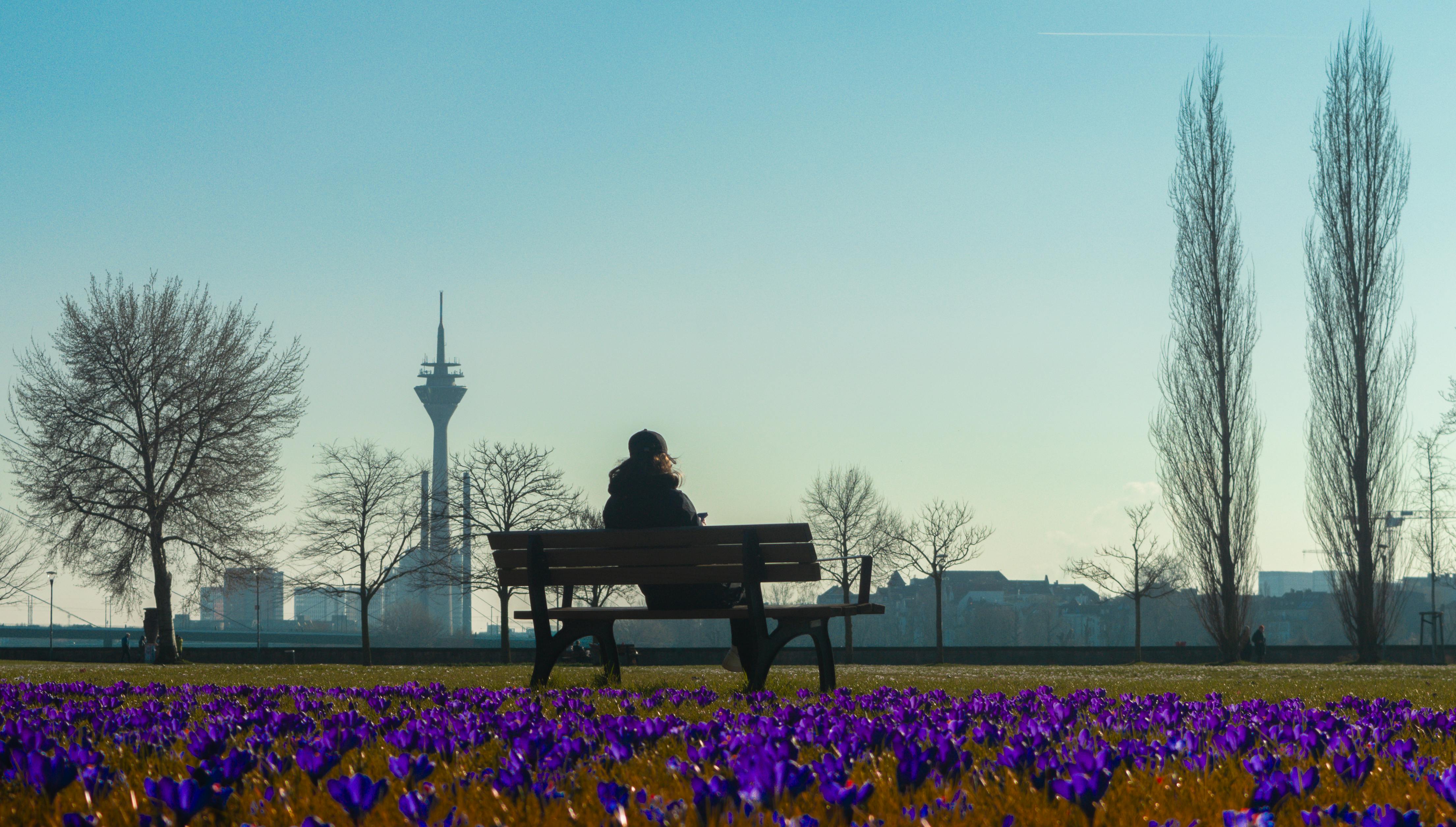 Serene Spring Scene in Düsseldorf Park · Free Stock Photo