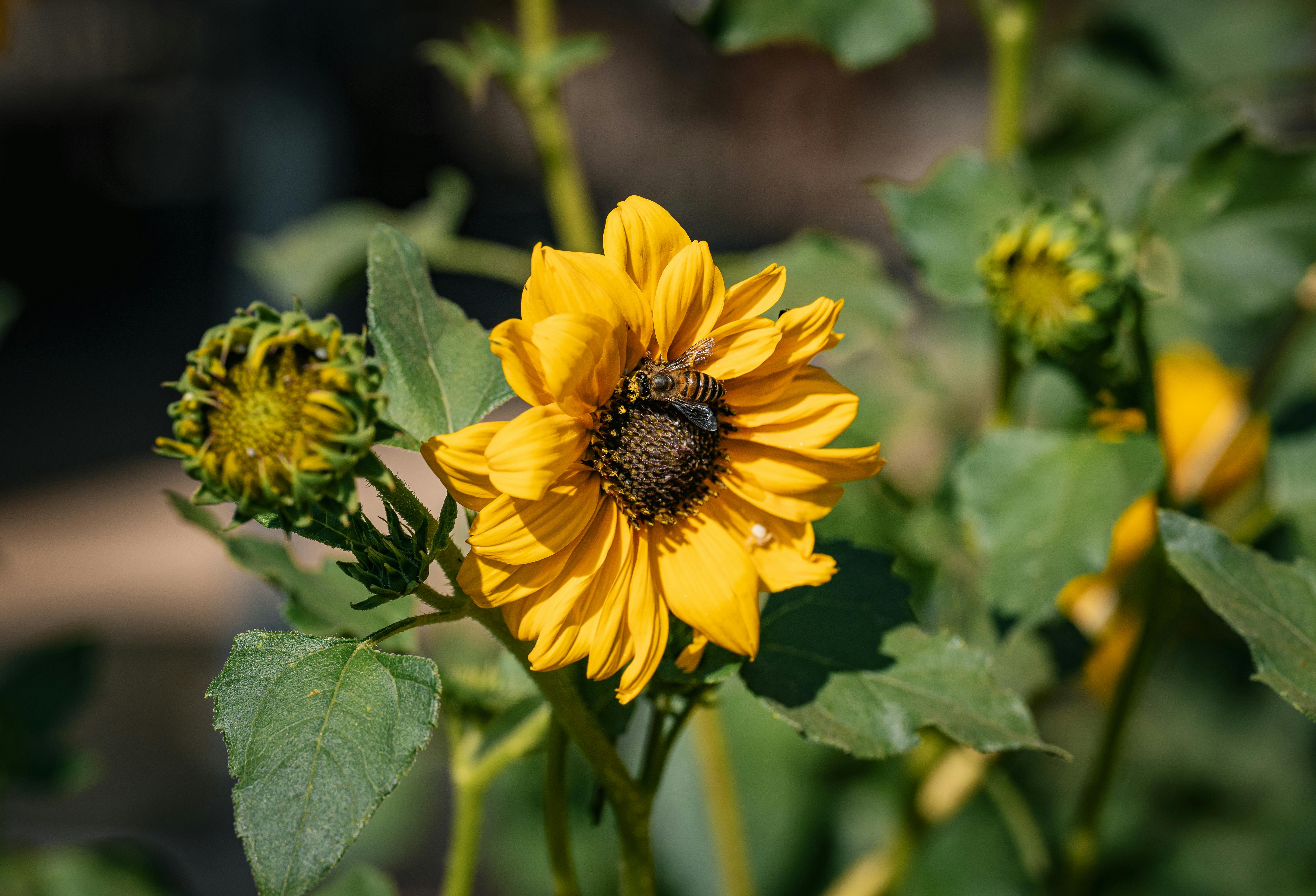 Download+Video+Bokep+Jepang+Missav Photos, Download The BEST Free Download+Video+Bokep+Jepang ...