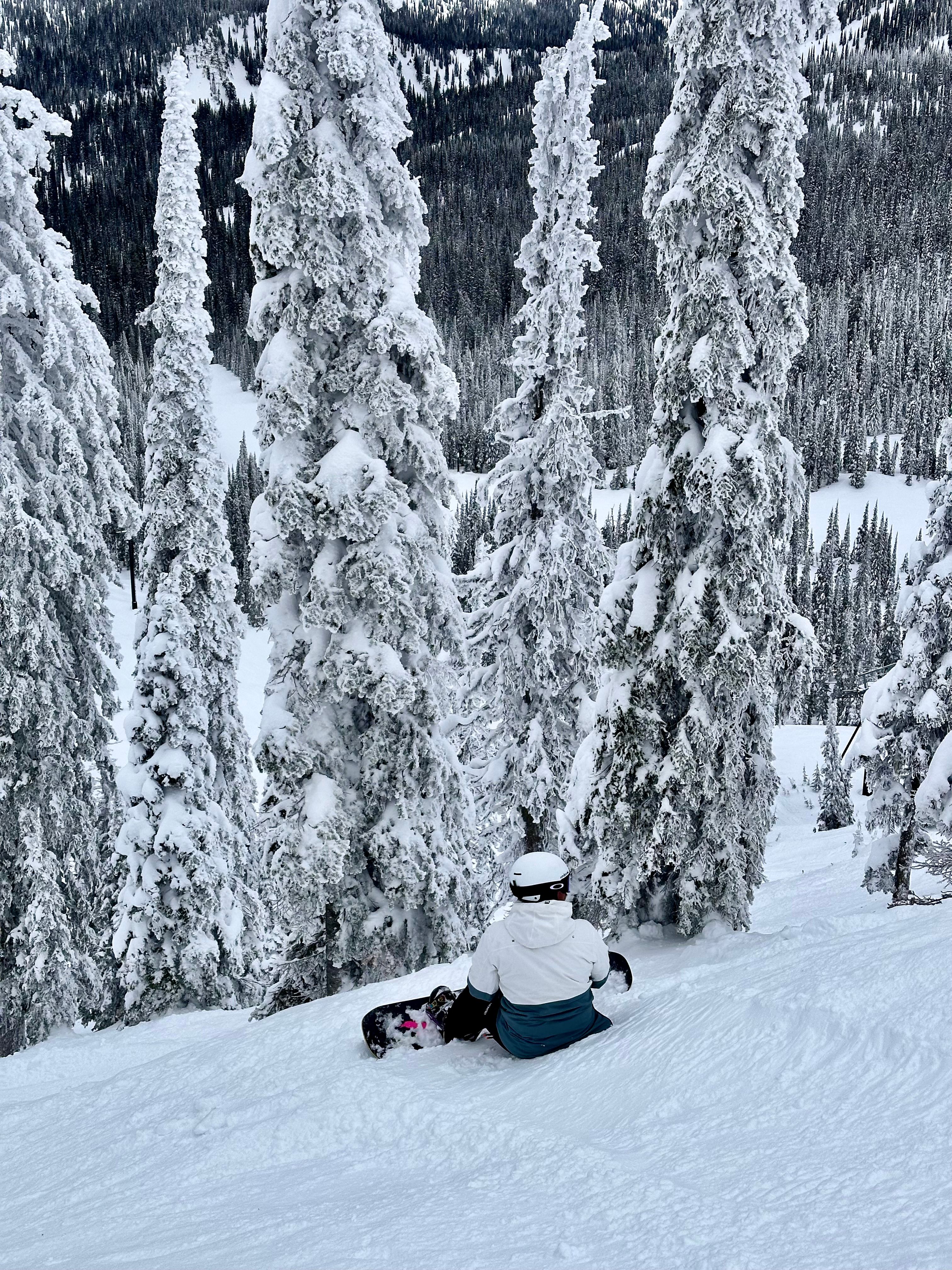 Snowboarder Resting in Snowy Forest · Free Stock Photo