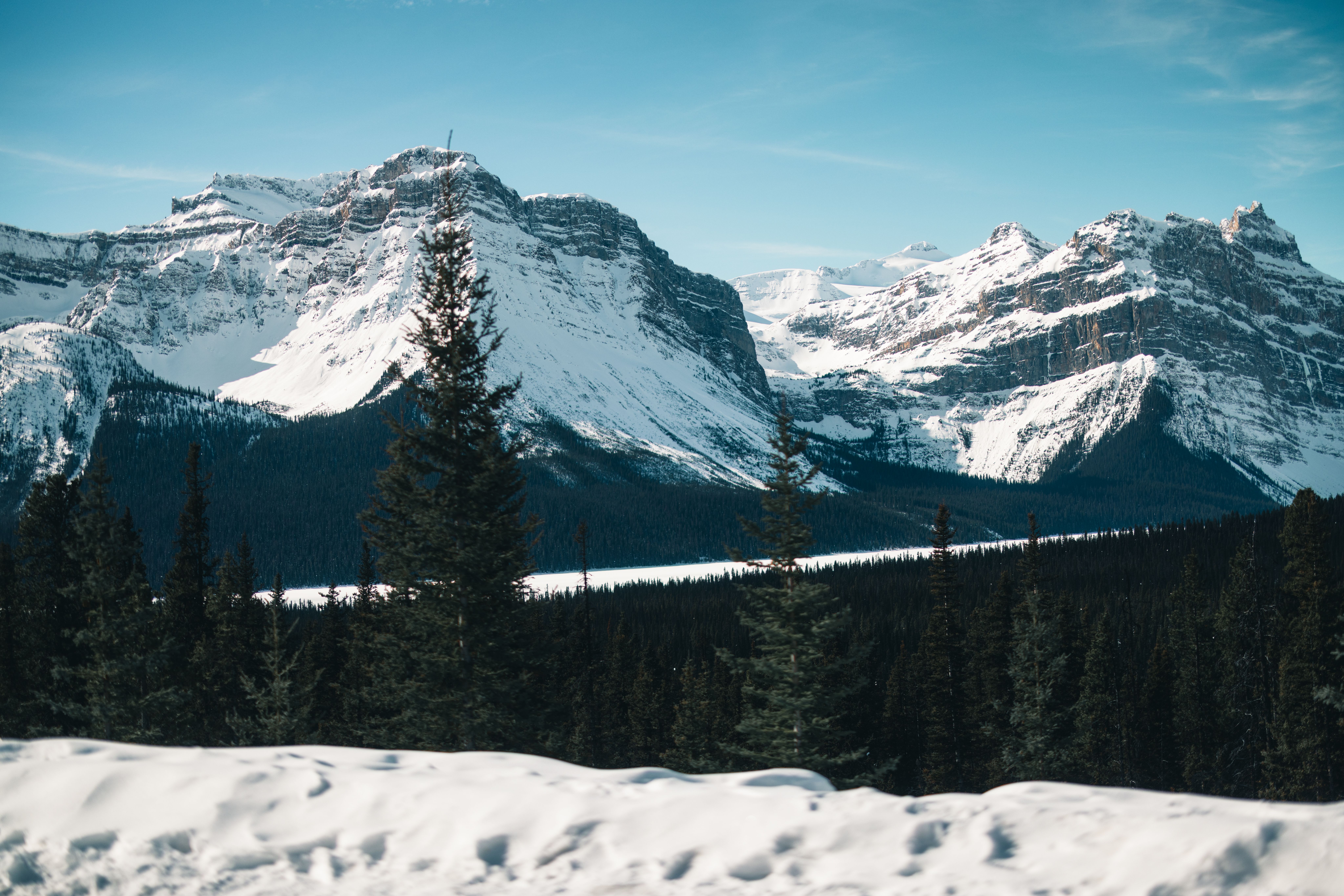 Snowy Mountains in Jasper National Park · Free Stock Photo