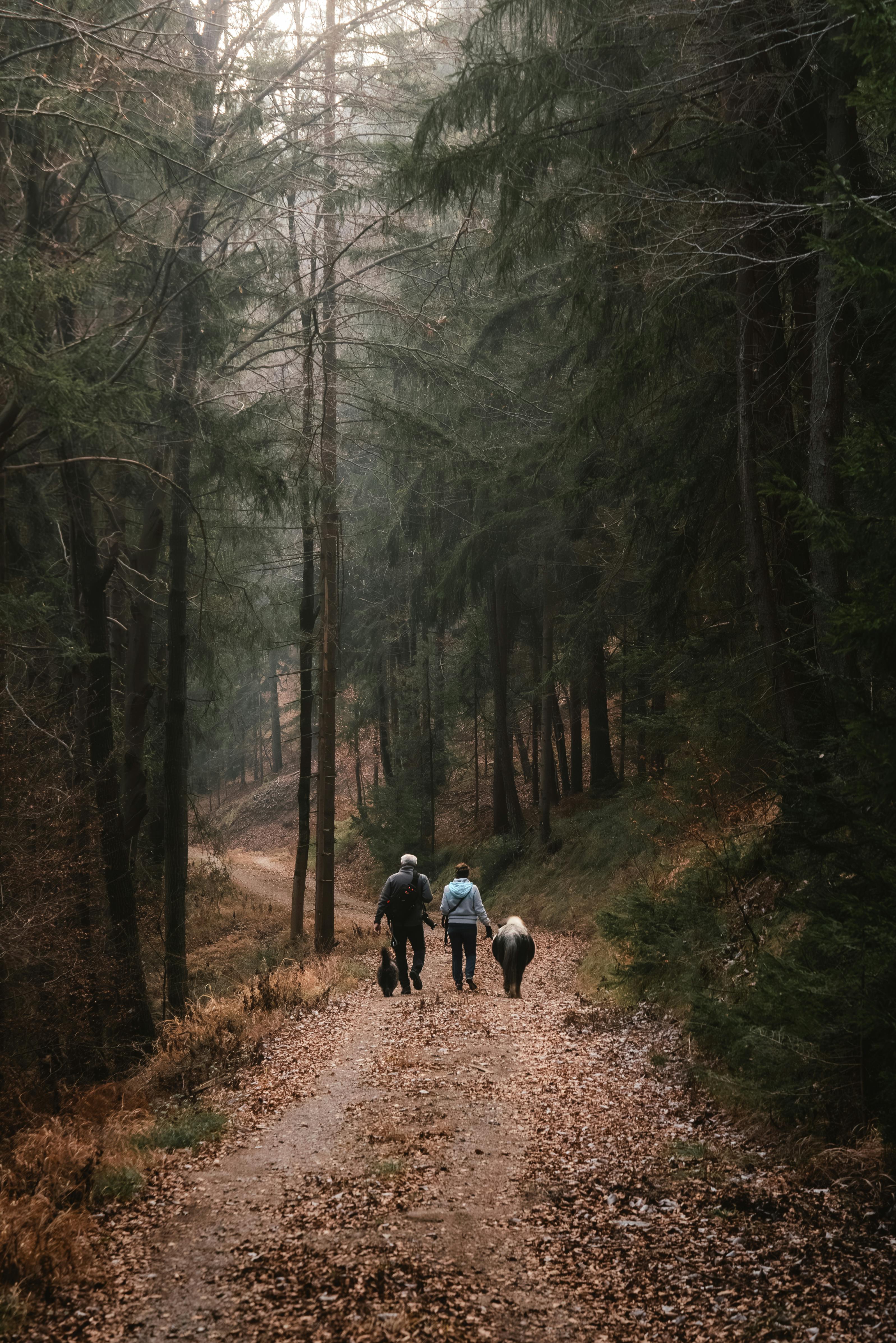 Desktop Wallpaper 4k Time Photos, Download The BEST Free Desktop ...