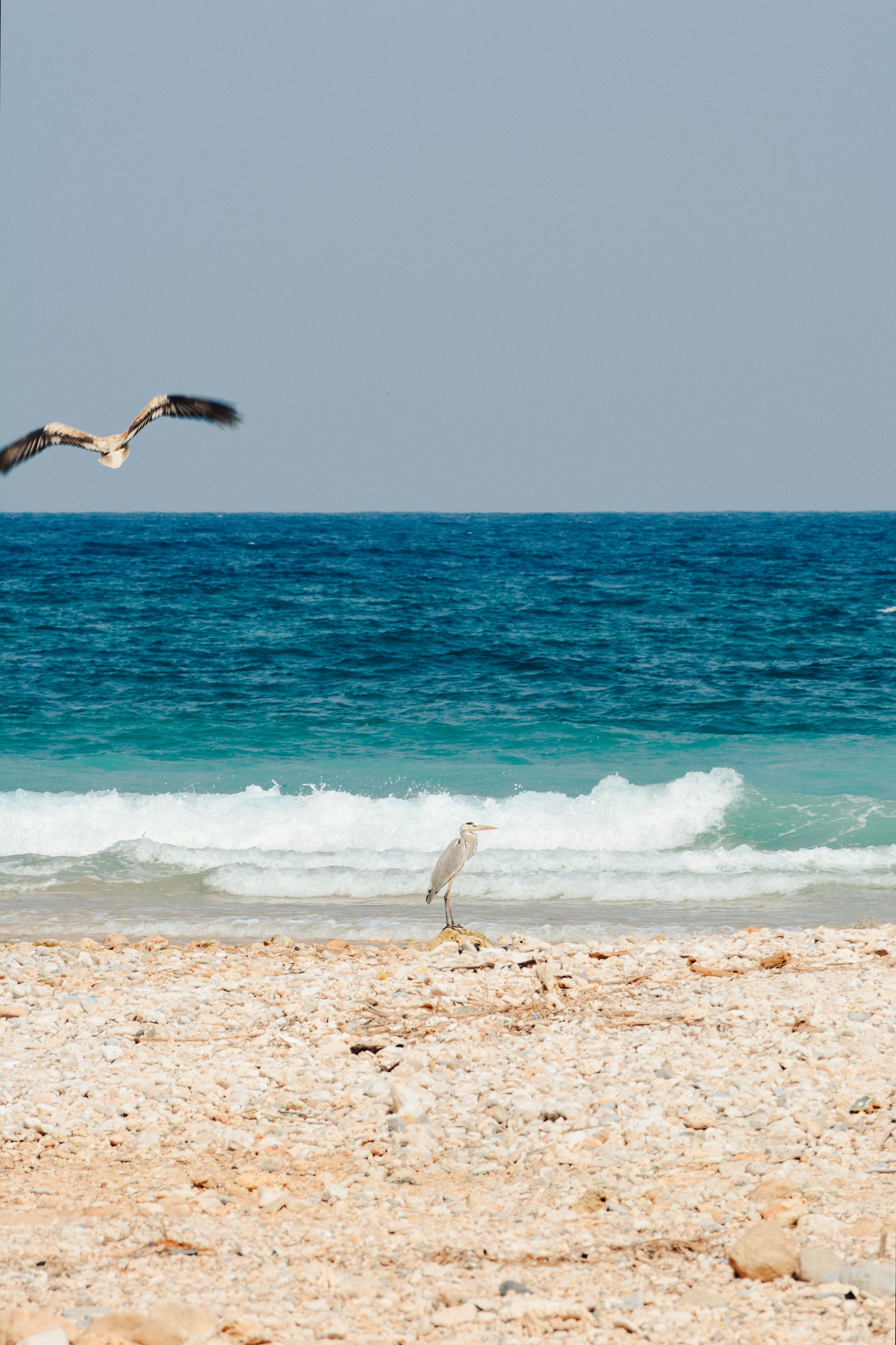 Weather In Oman Photos, Download The BEST Free Weather In Oman Stock ...