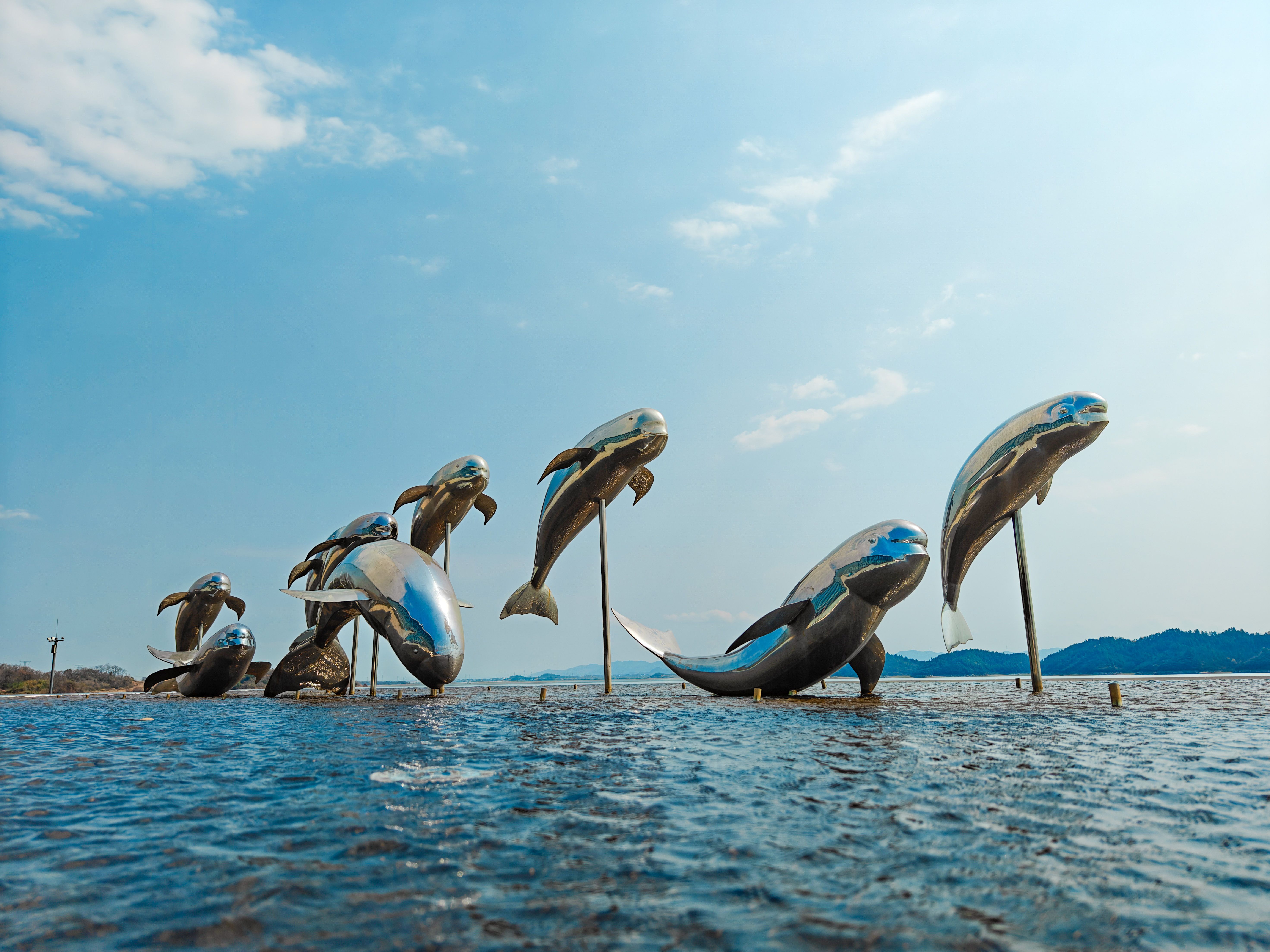 Sculptural Dolphins in Outdoor Water Display · Free Stock Photo